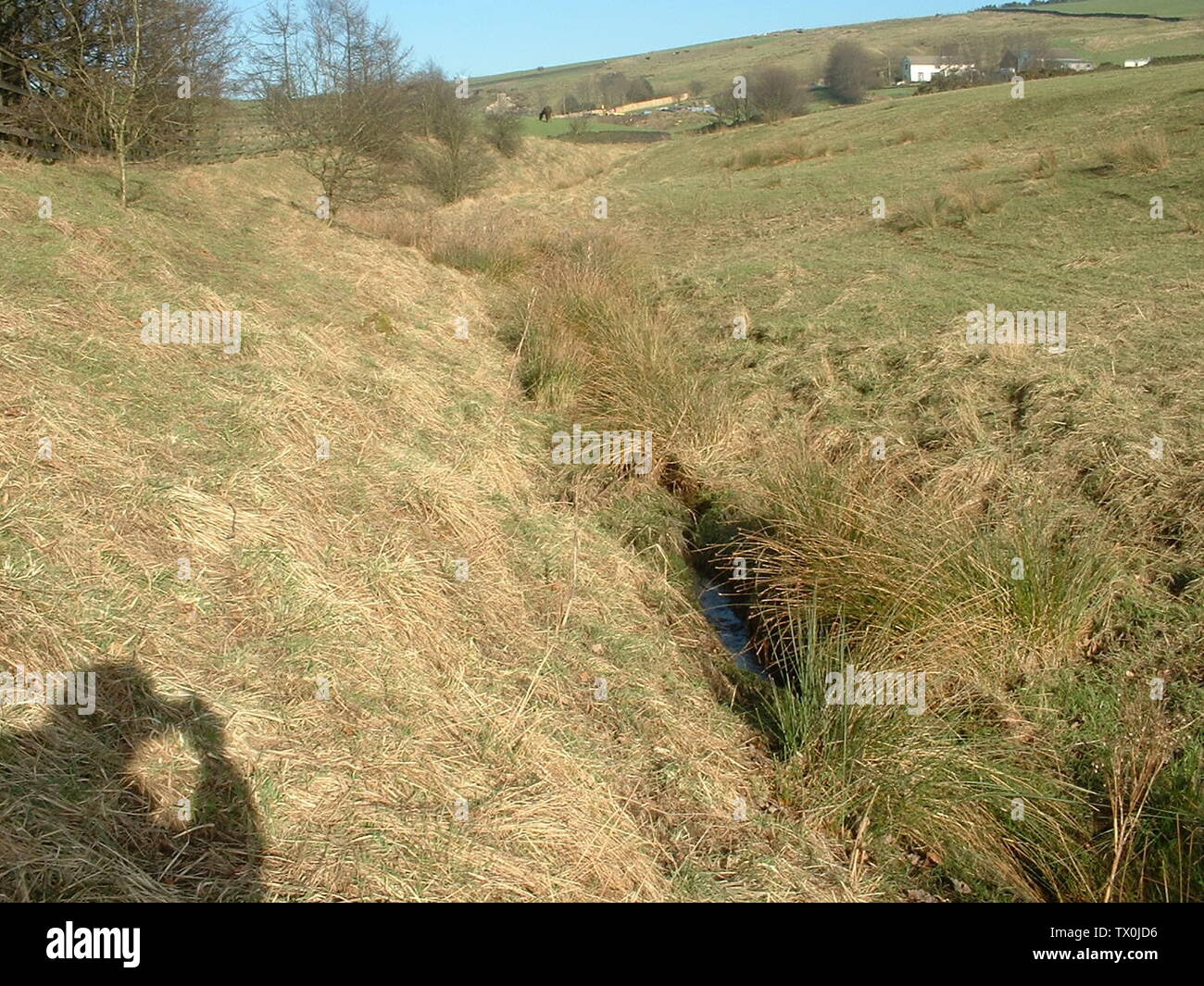 P Hogg High Resolution Stock Photography and Images - Alamy