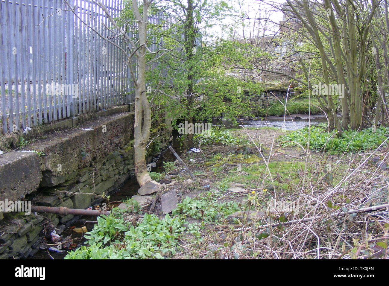 P Hogg High Resolution Stock Photography and Images - Alamy