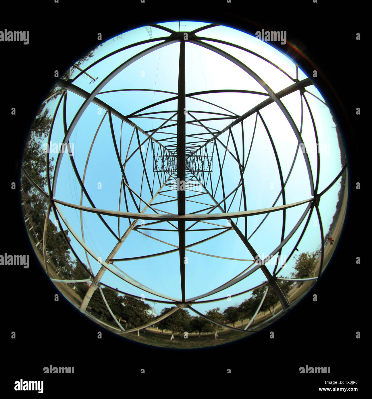 Spherical fish hi-res stock photography and images - Alamy