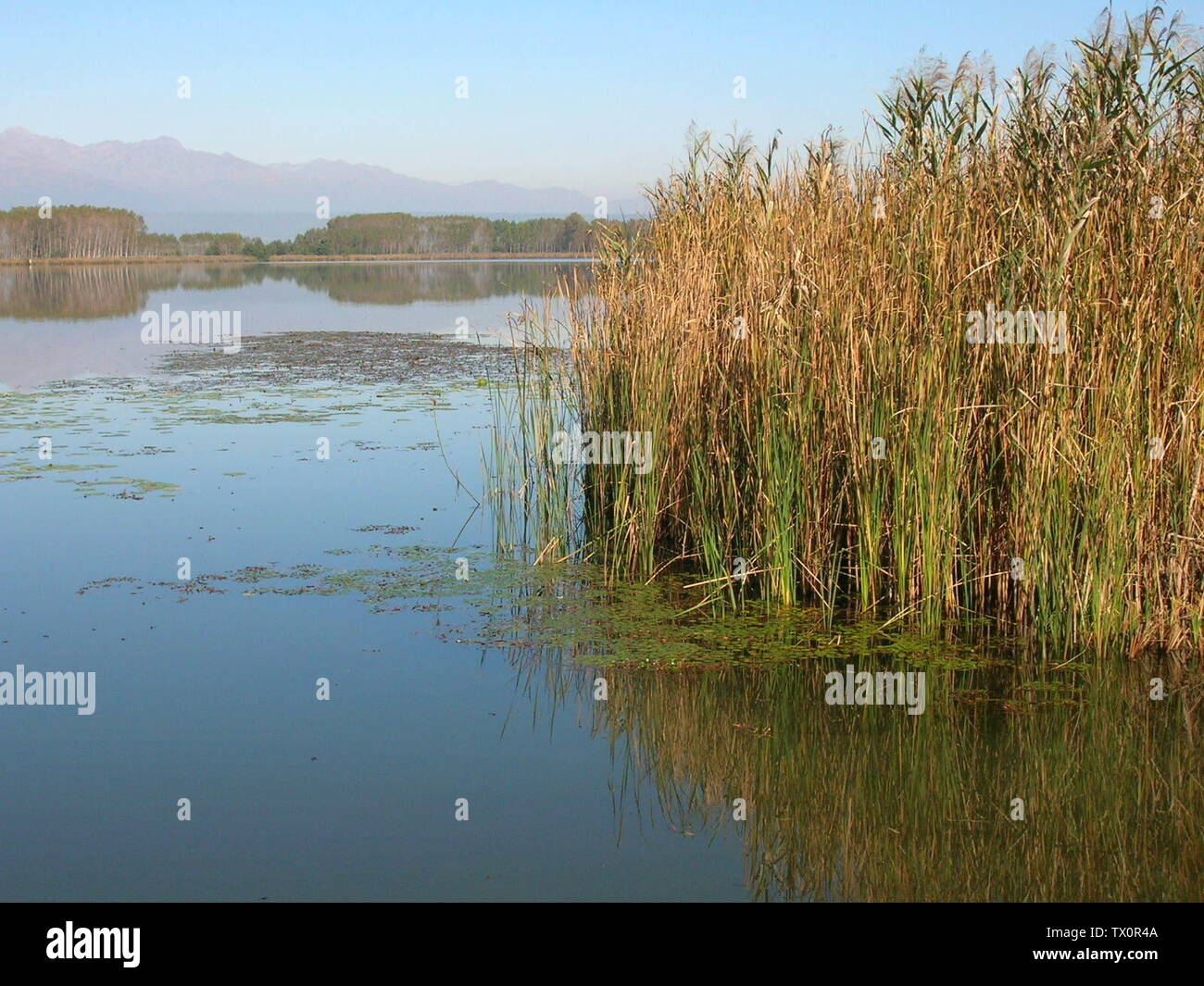 Fotografia del lago hi-res stock photography and images - Alamy
