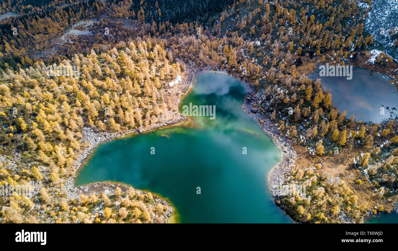 Fish gully hi-res stock photography and images - Alamy
