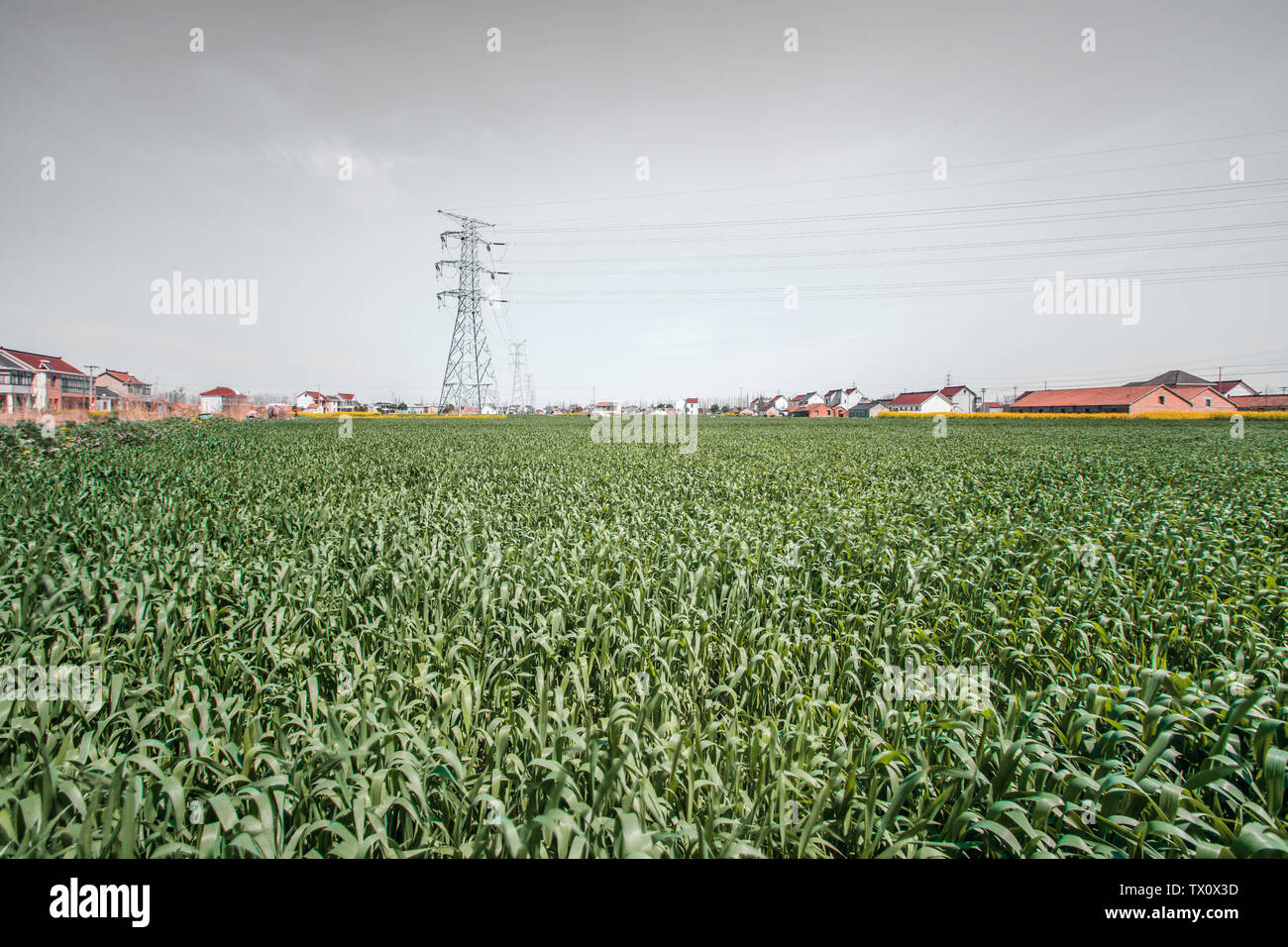 Energy conservation and emission reduction hi-res stock photography and ...