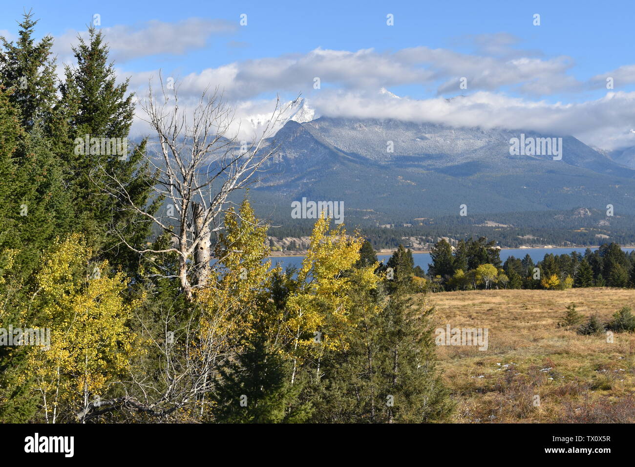 The colours of autumn in the Canadian Rockies Stock Photo - Alamy