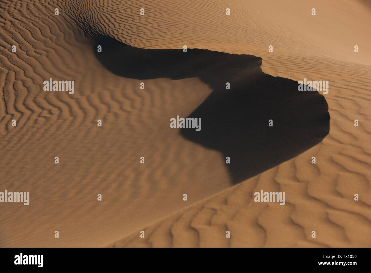 Spectacular dune structure and texture Stock Photo - Alamy