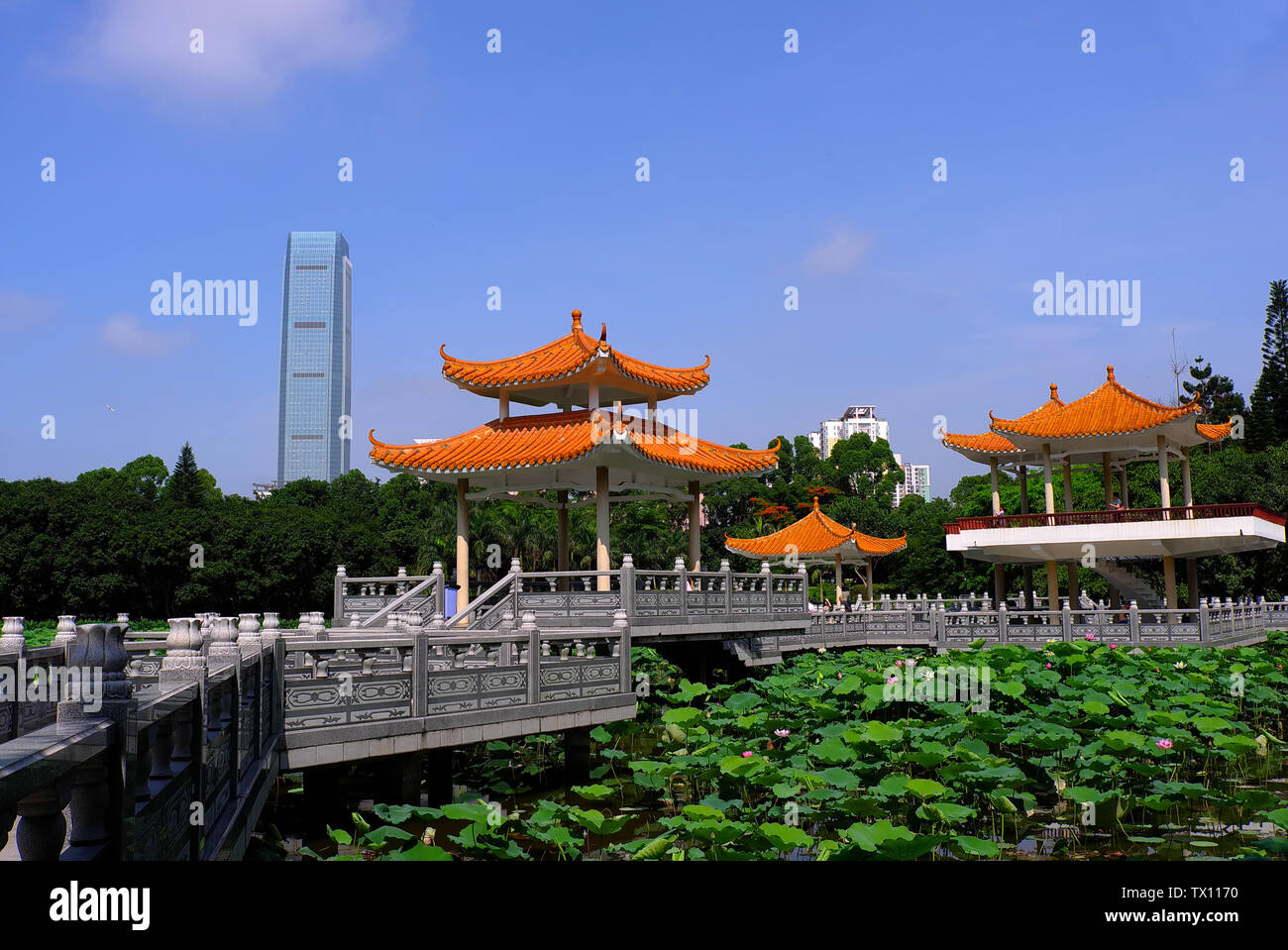Honghu park park hi-res stock photography and images - Alamy