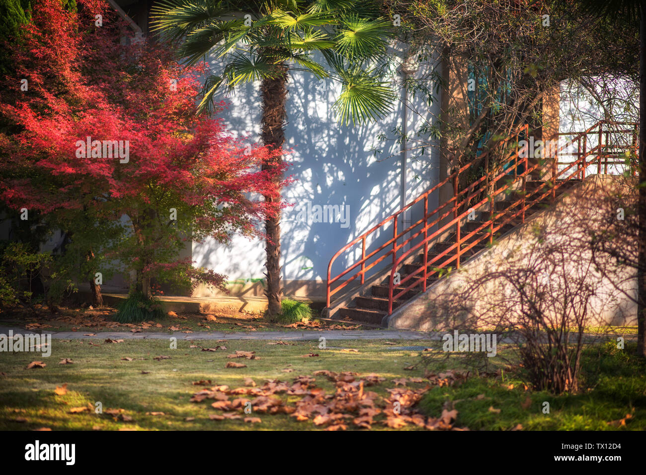 East china normal university hi-res stock photography and images - Alamy