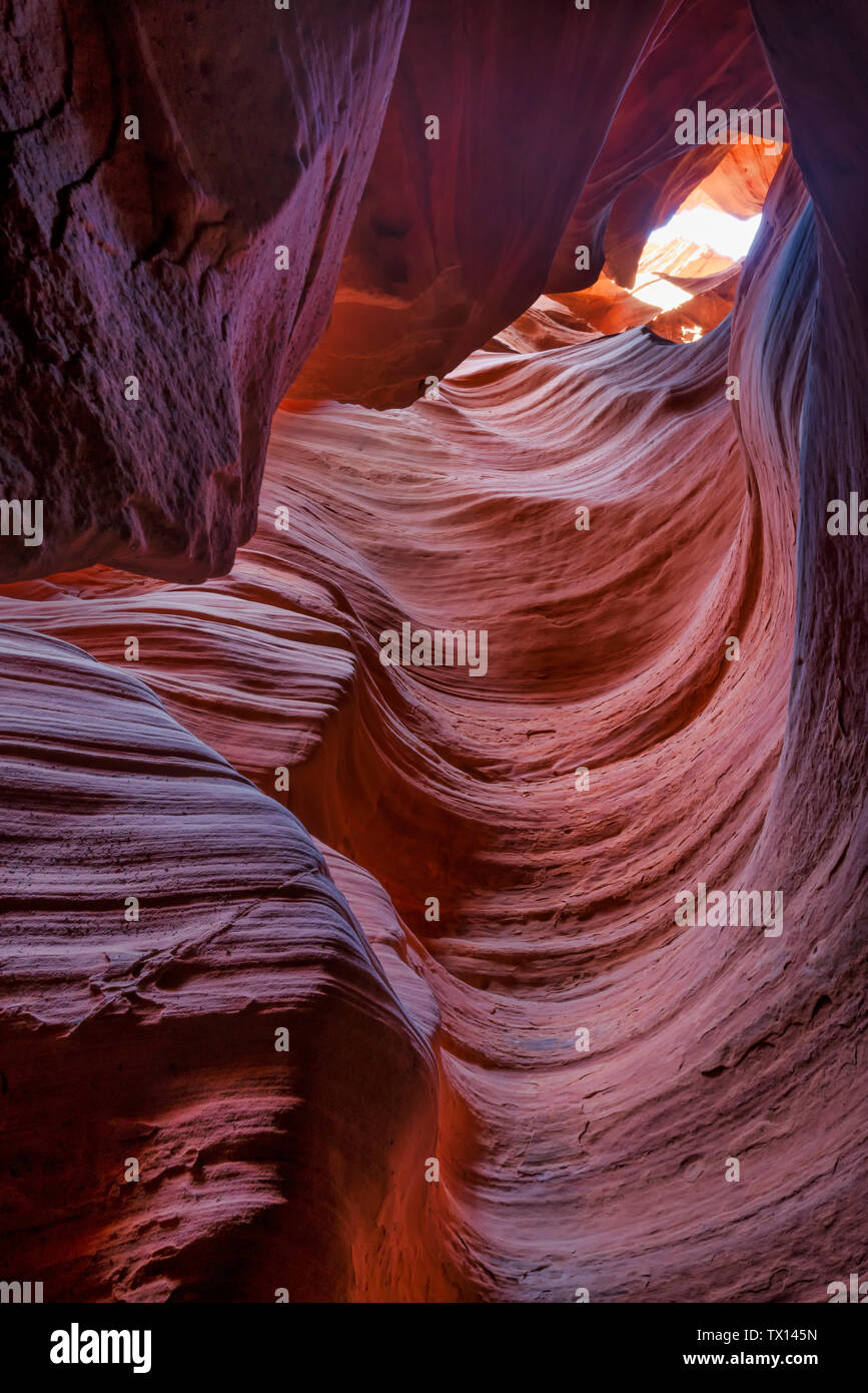 Red stone canyon x hi-res stock photography and images - Alamy