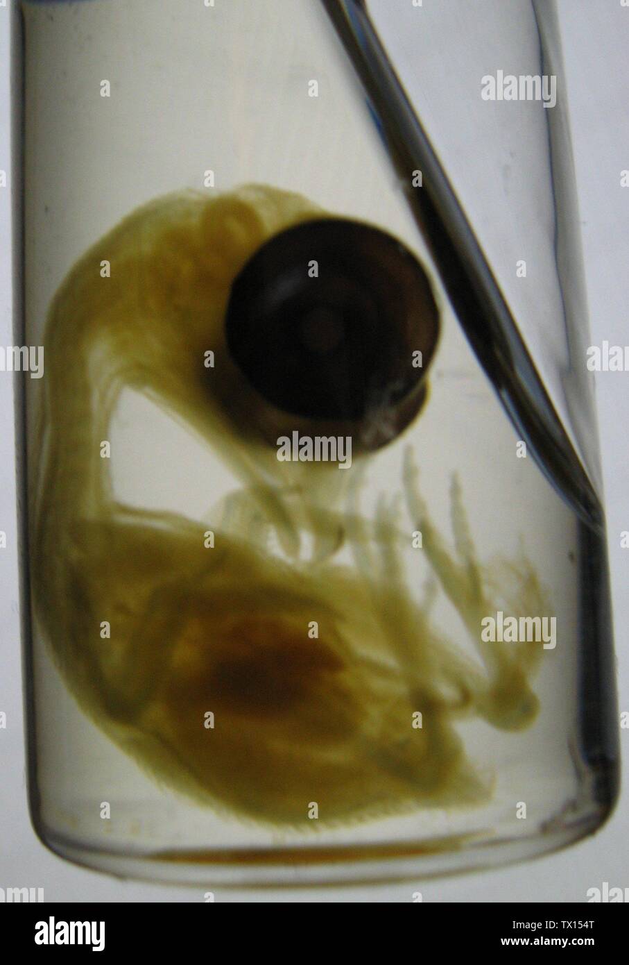 Class i hi-res stock photography and images - Alamy