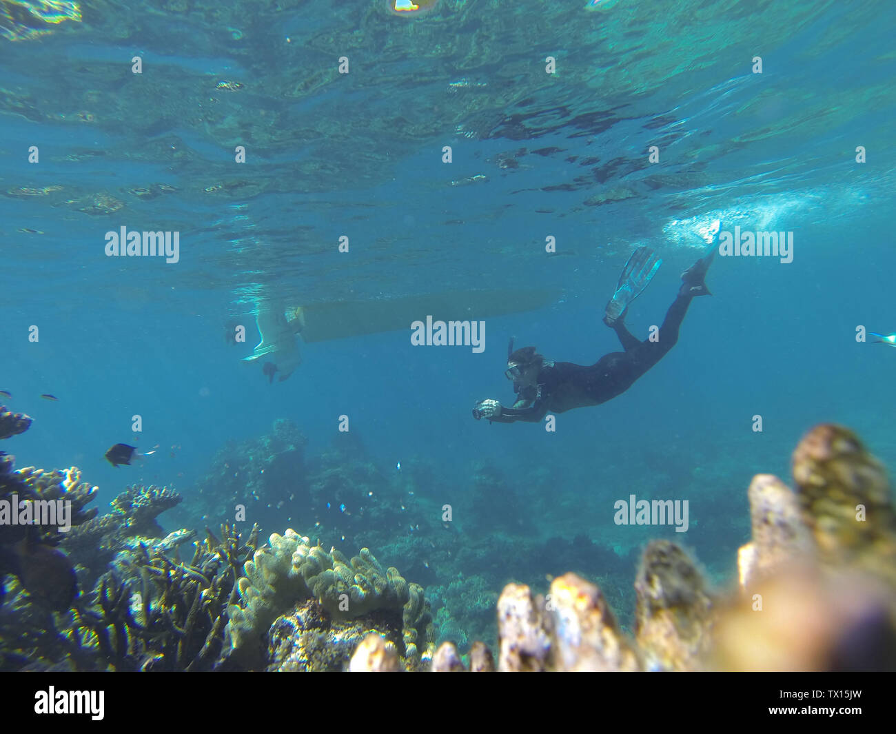 Snorkeller Underwater On Pixie Reef With Vessel In Background Great
