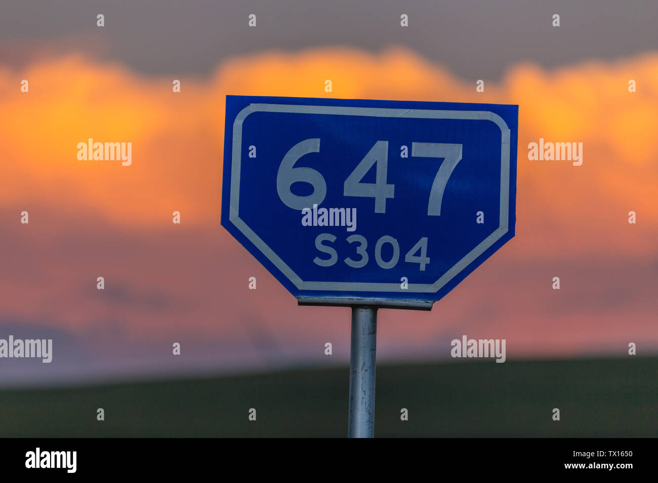 A road sign for the provincial road s304 in the setting sun Stock Photo ...