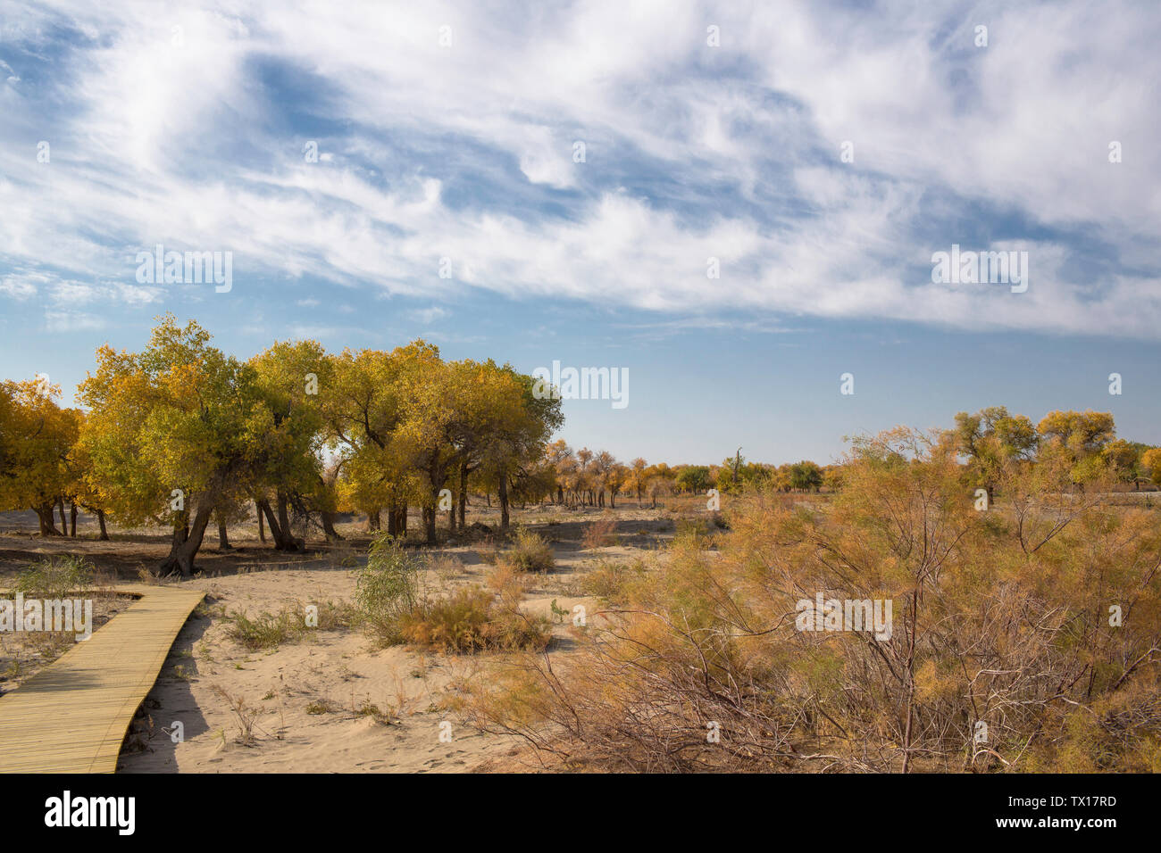 Hu yang and hu yang lin hi-res stock photography and images - Alamy