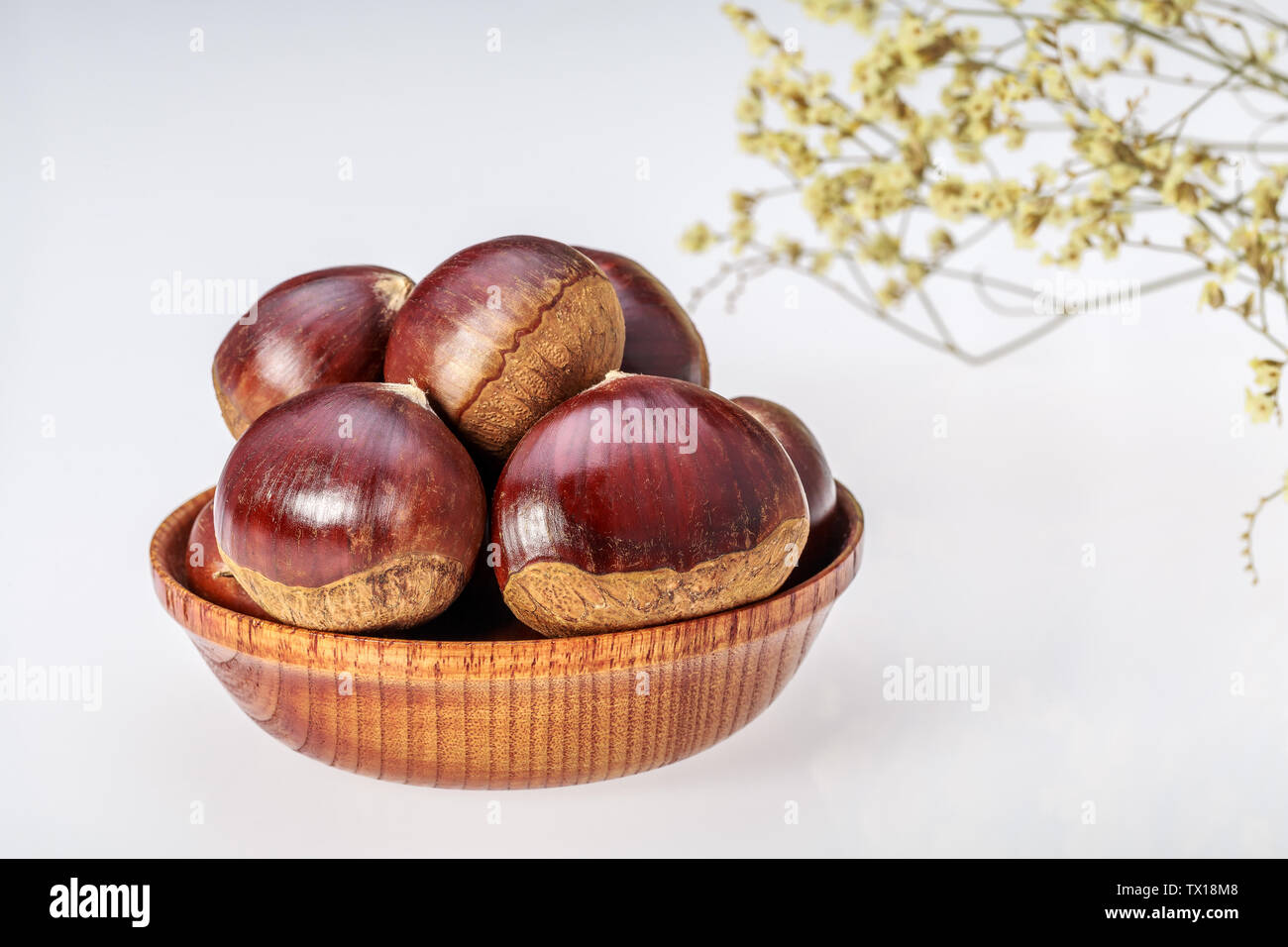 Chestnut horse anatomy hi-res stock photography and images - Alamy