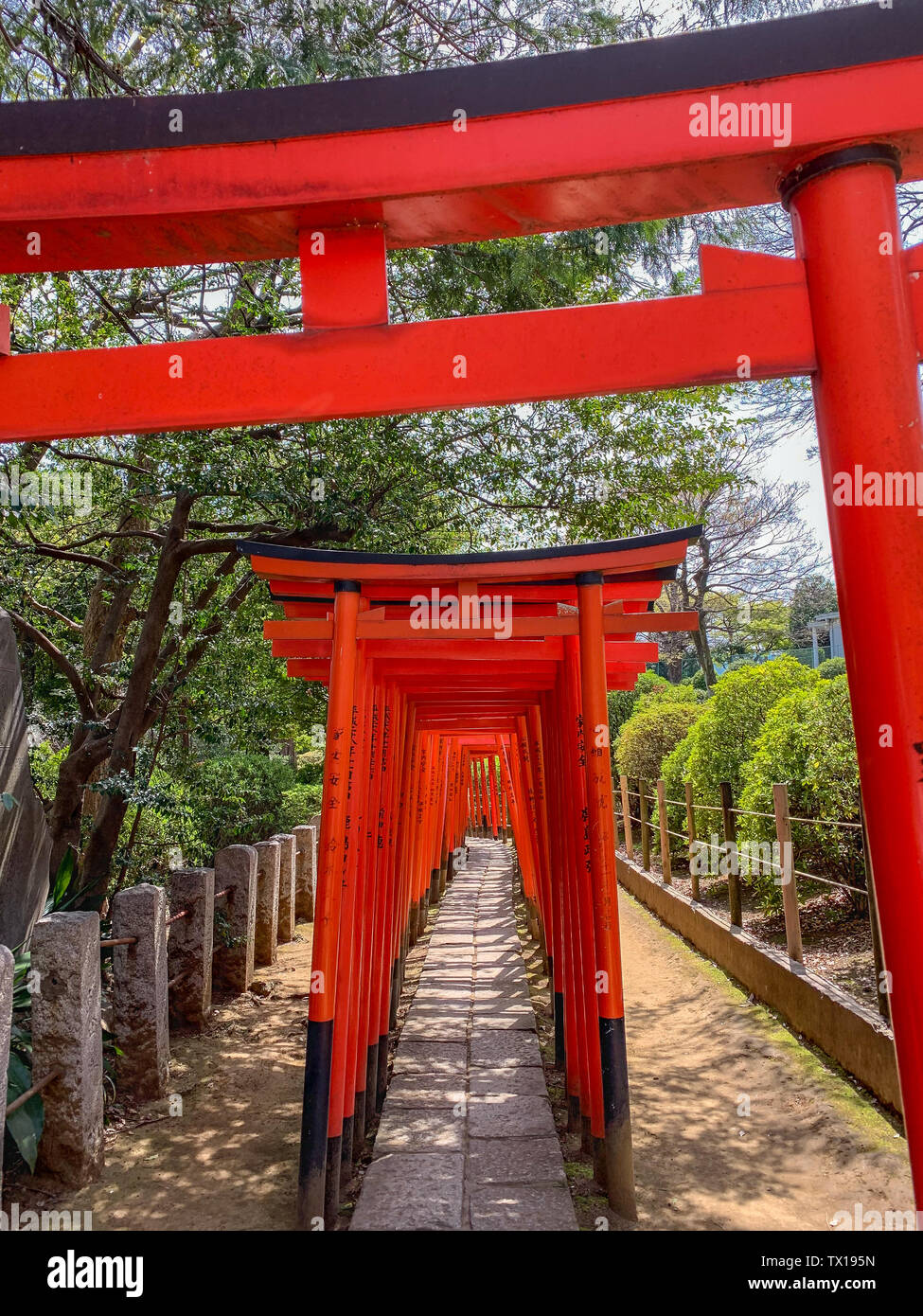 Red Torii Gates at the Nezu Shrine form corridors to mark the ...