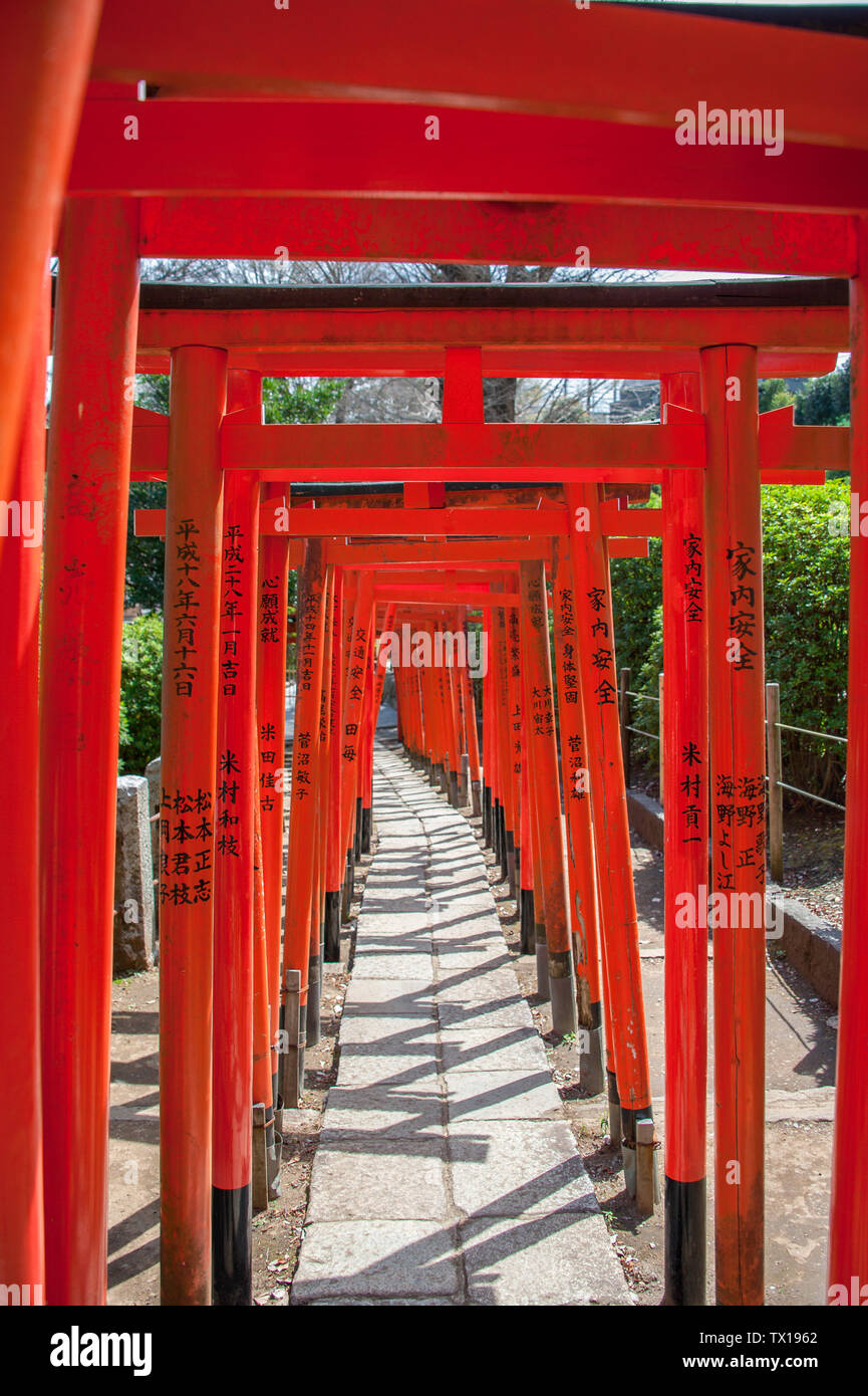 Red Torii Gates at the Nezu Shrine form corridors to mark the ...