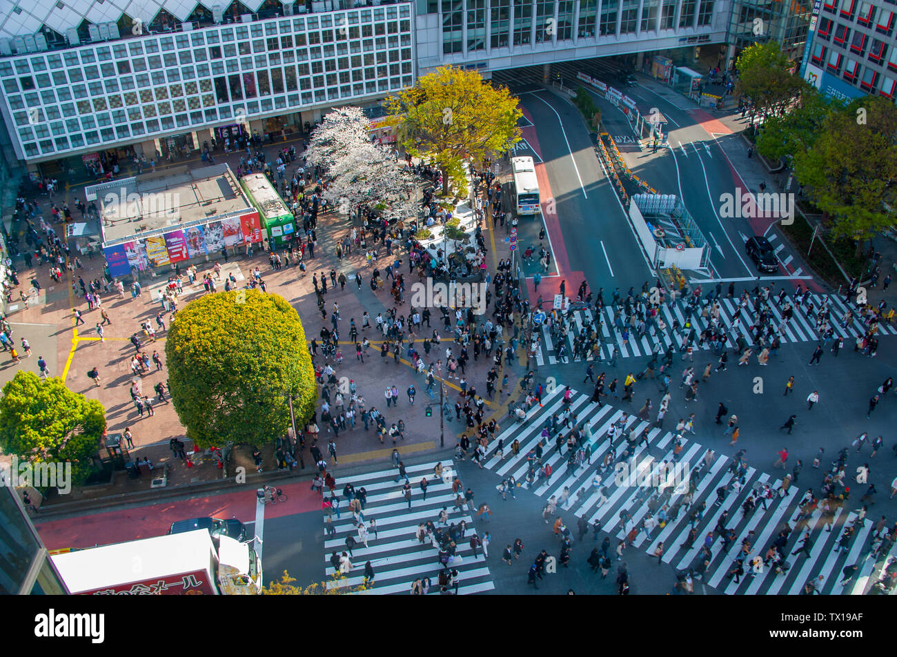 Aerial view crossing famous shibuya hi-res stock photography and images - Alamy