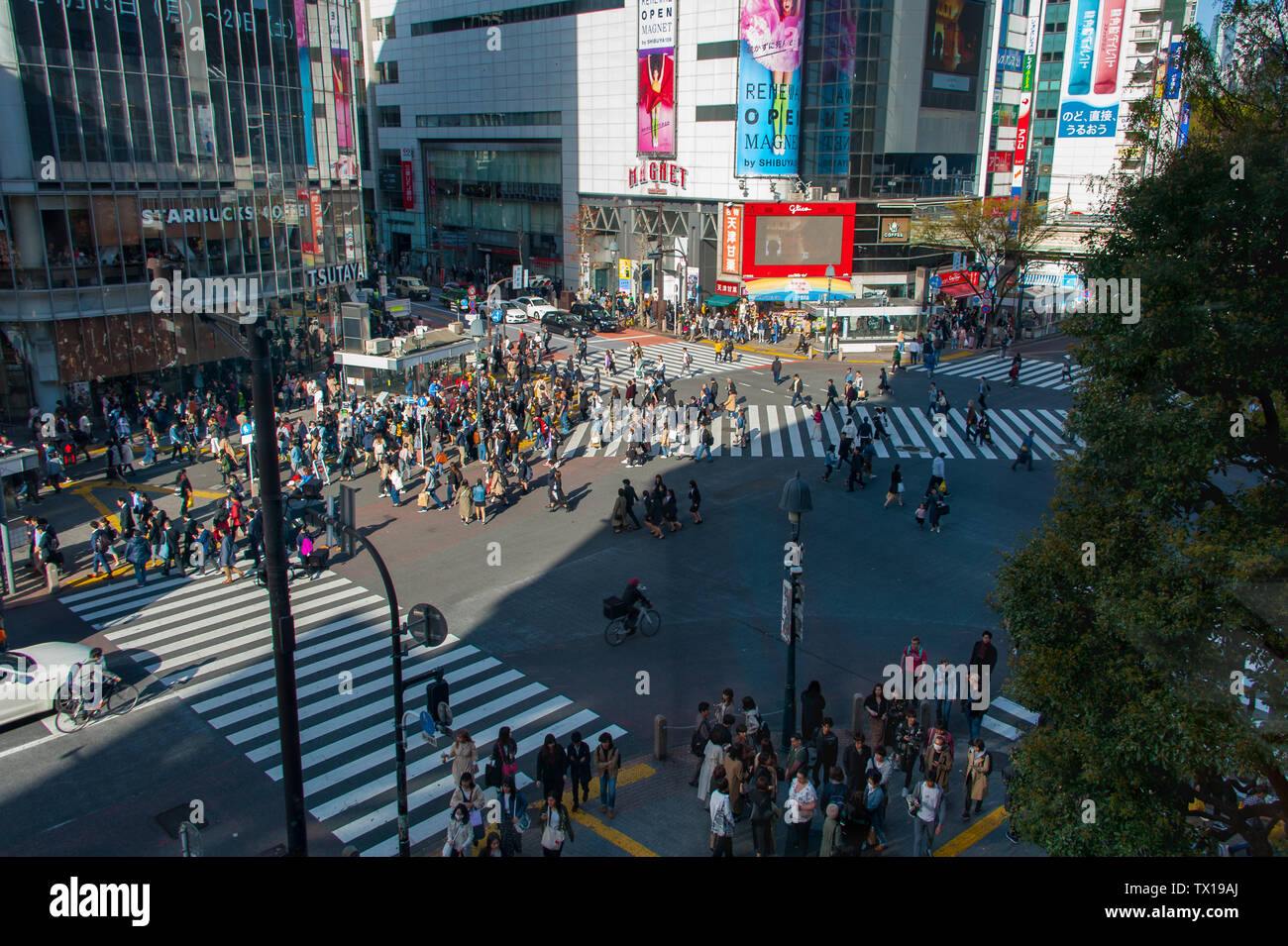 Aerial view crossing famous shibuya hi-res stock photography and images - Alamy