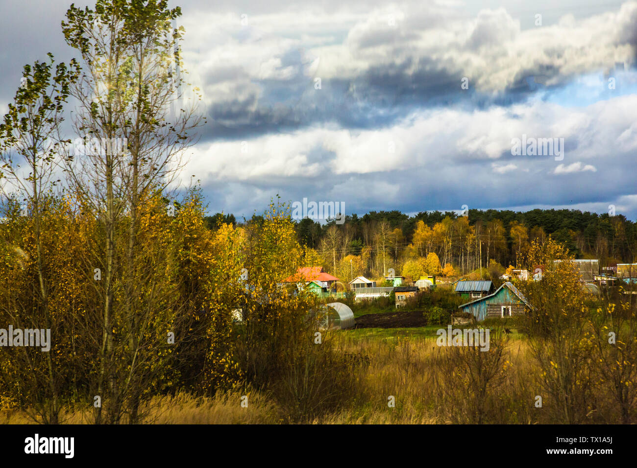 The Russian wilderness of the golden autumn, colorful and heavy, like ...
