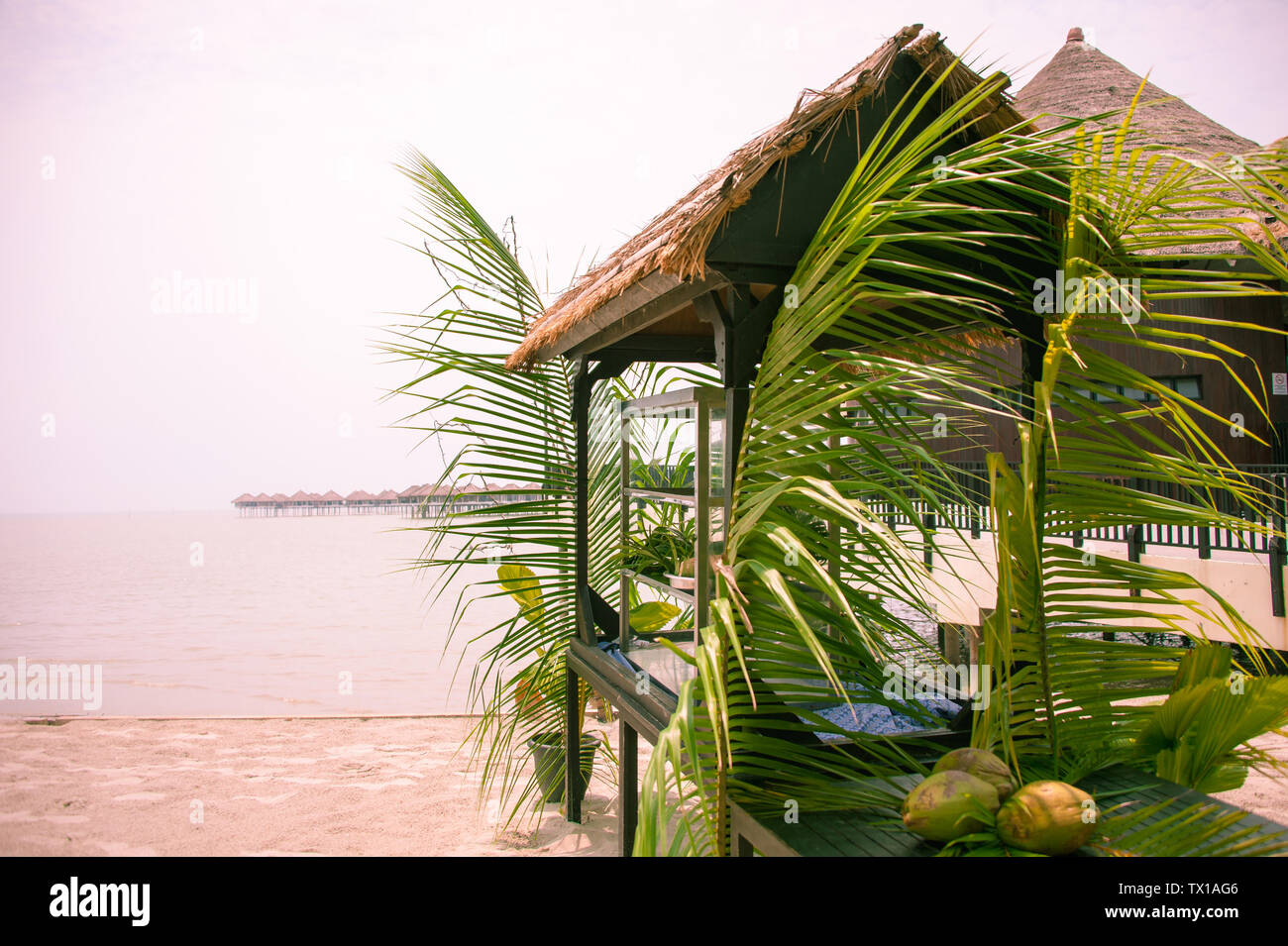 Beachside coconut stall at a tropical beach resort Stock Photo - Alamy