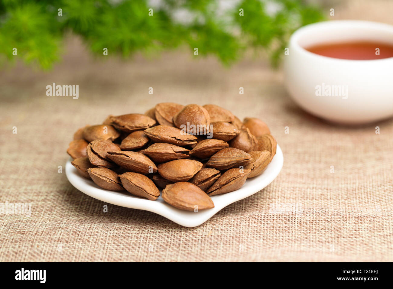 Open little Ginkgo biloba Stock Photo - Alamy