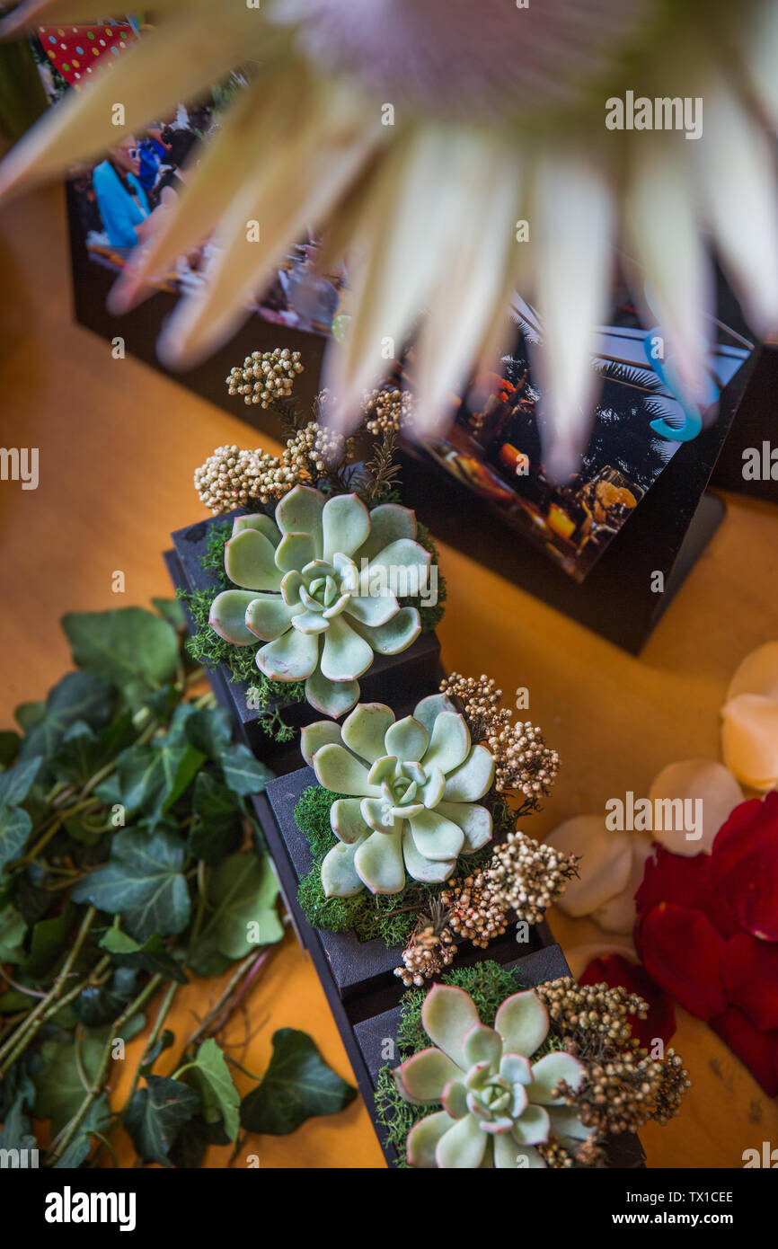 Meat, it could have been so wonderful. Beautiful picture of slightly ...