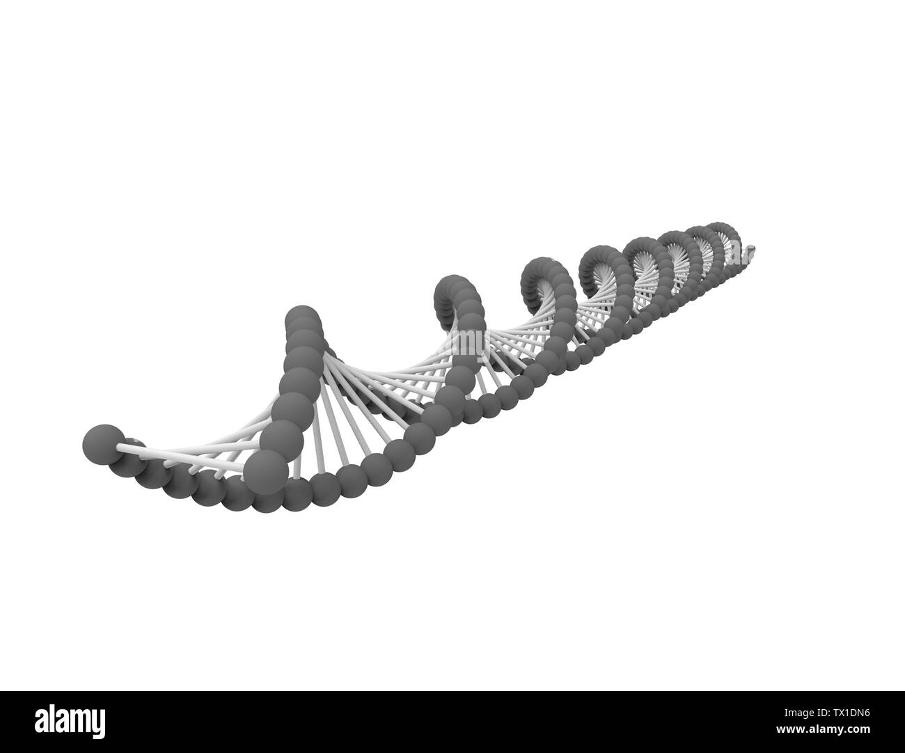 3d rendering of a DNA string isolated in white background Stock Photo ...