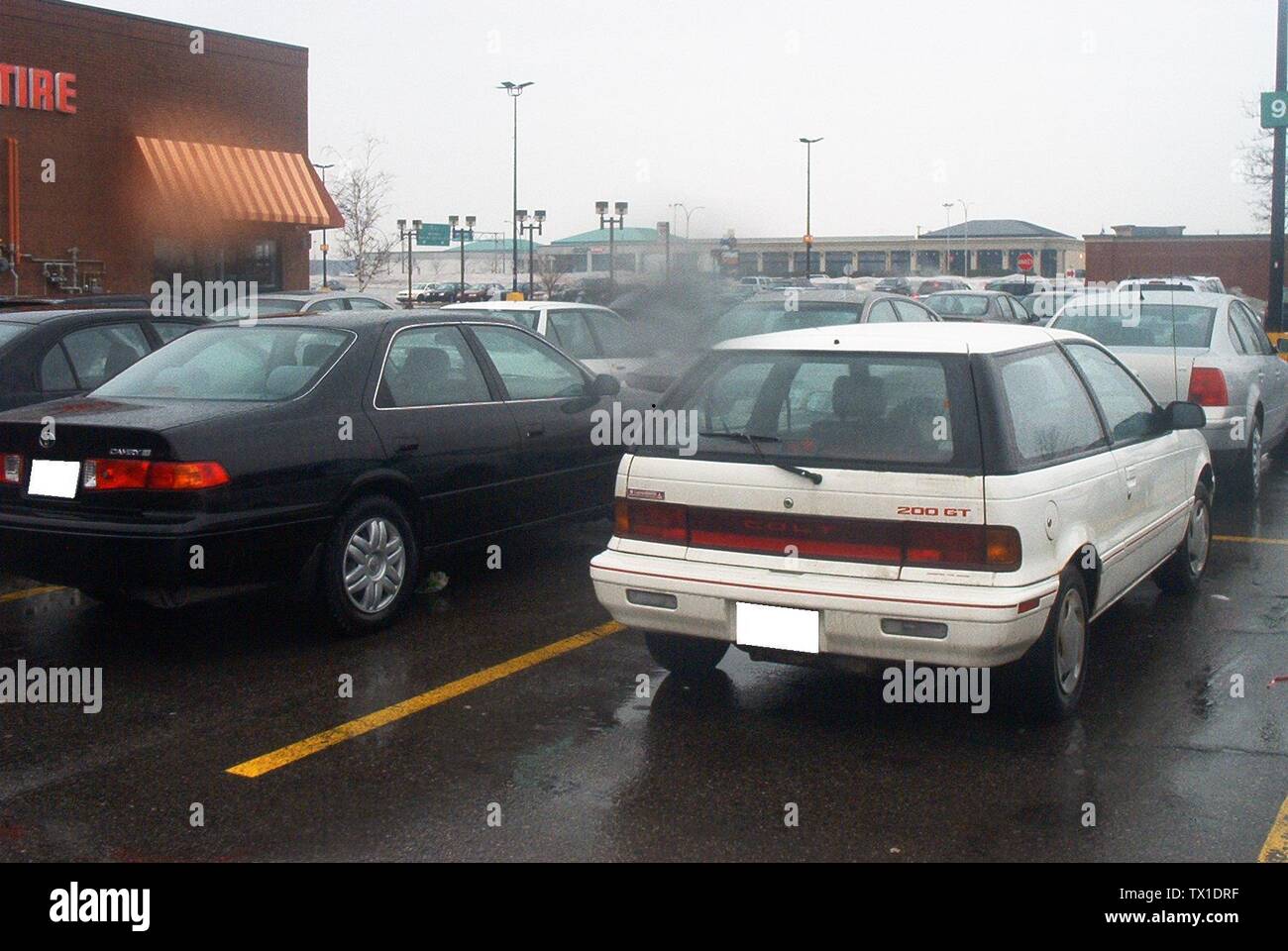 Colt gt hi-res stock photography and images - Alamy