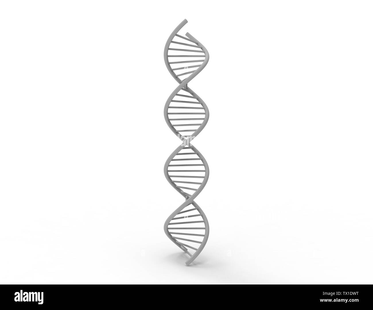 3d rendering of a DNA string isolated in white background Stock Photo ...