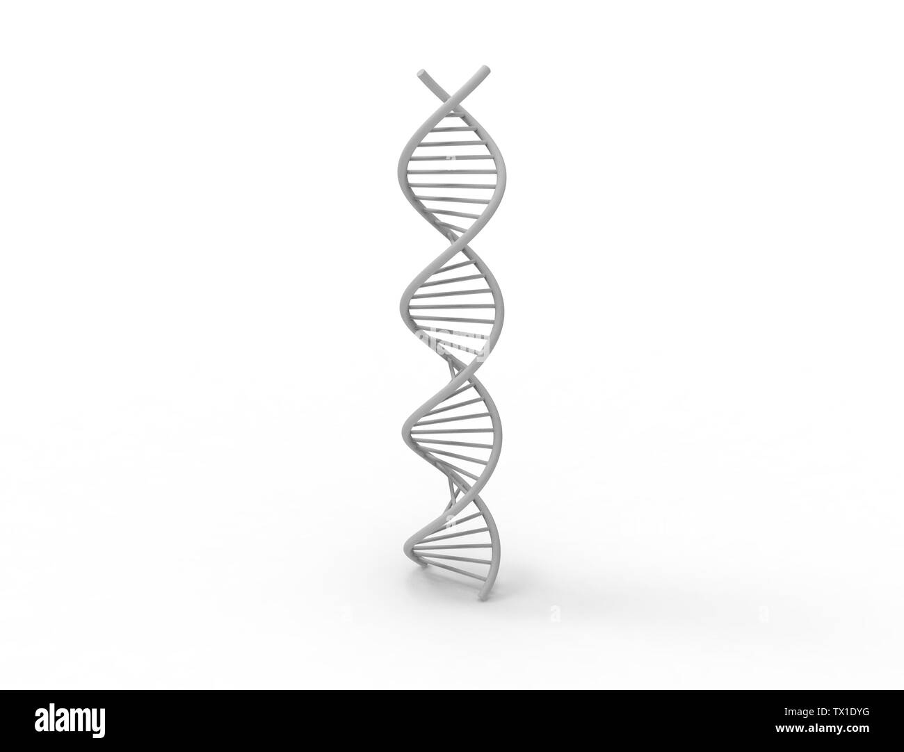 3d rendering of a DNA string isolated in white background Stock Photo ...