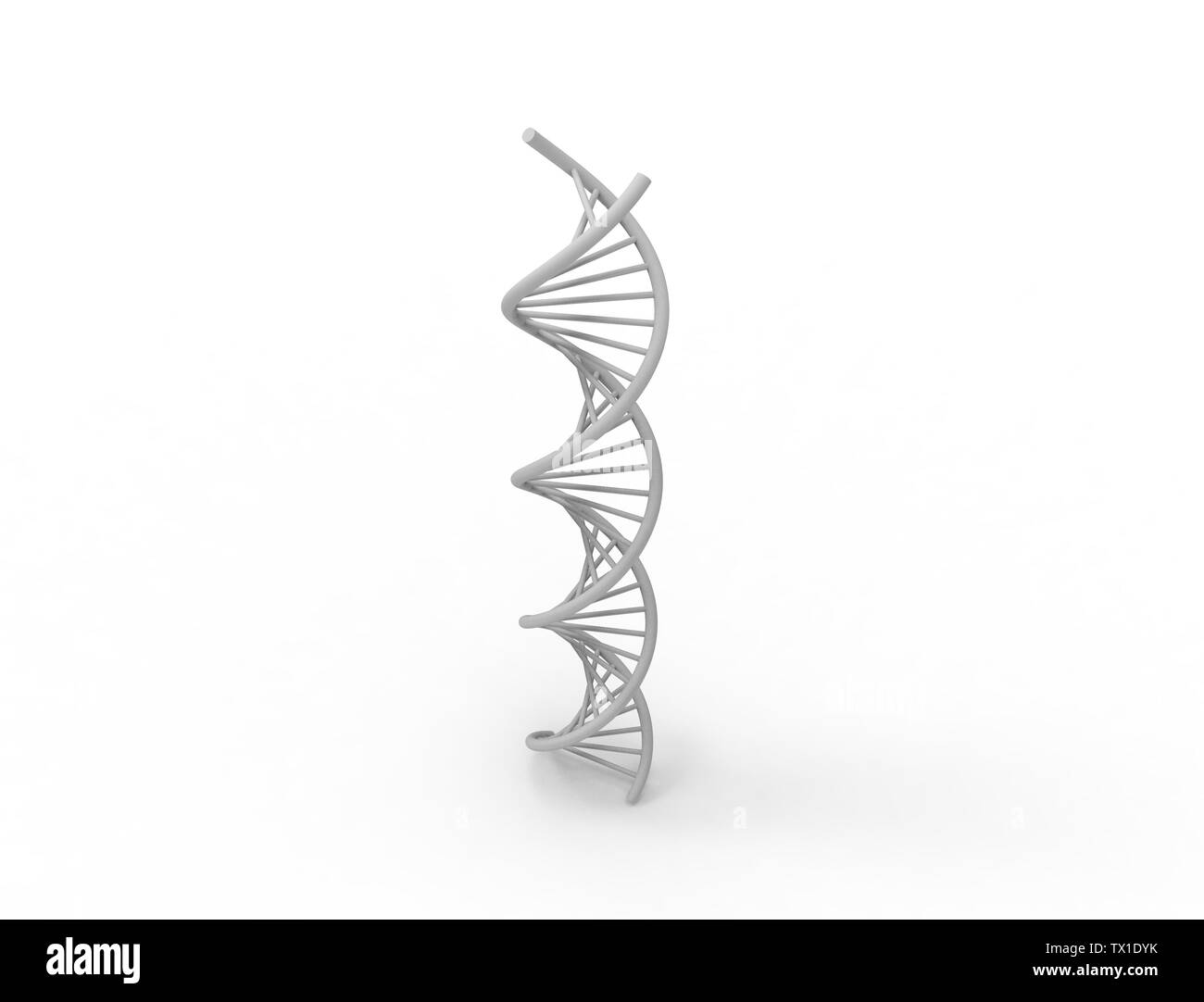 3d rendering of a DNA string isolated in white background Stock Photo ...