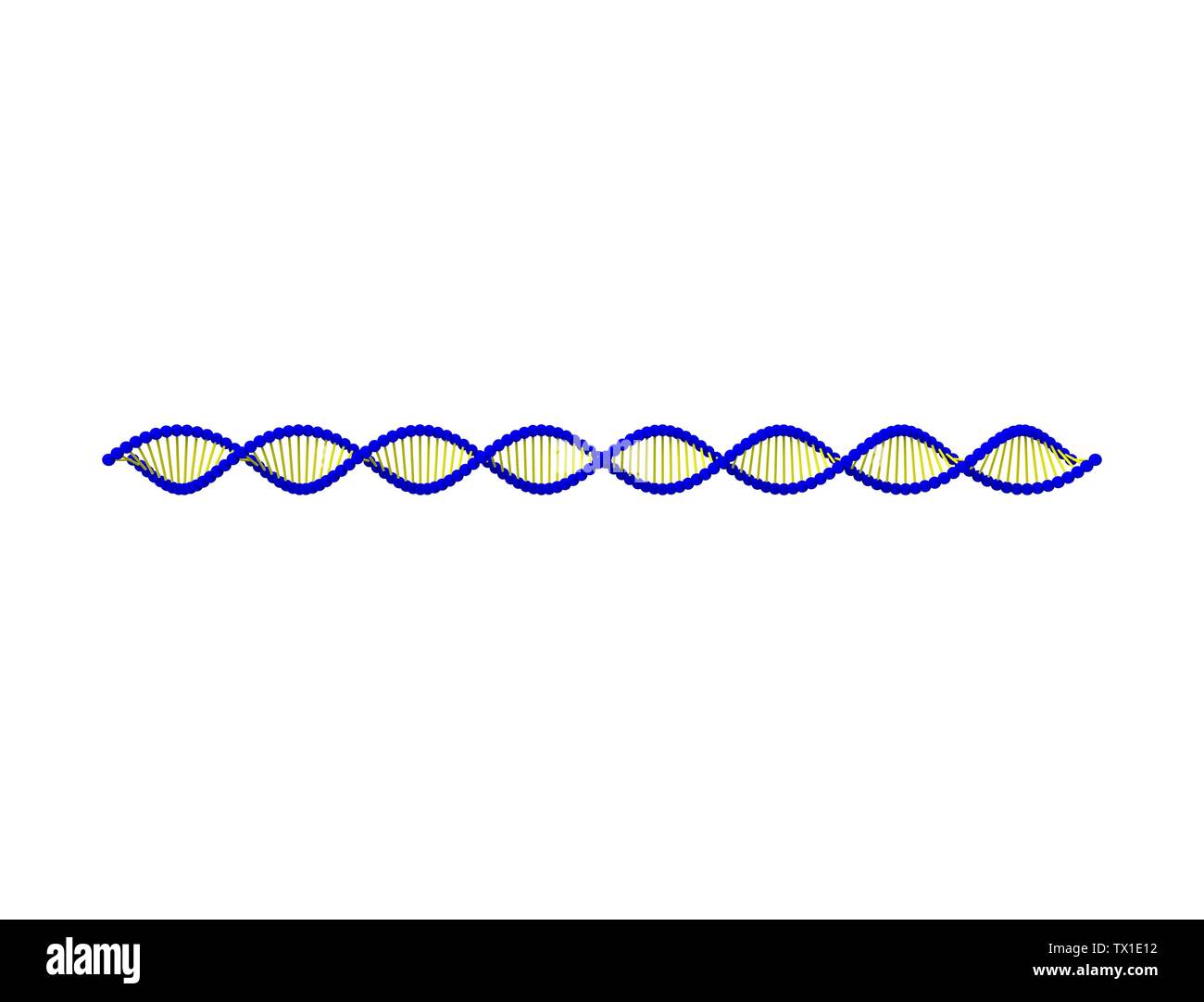 3d rendering of a DNA string isolated in white background Stock Photo ...