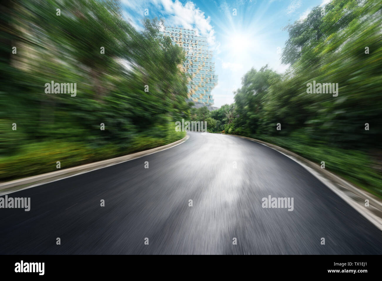 empty road through trees to modern building Stock Photo - Alamy