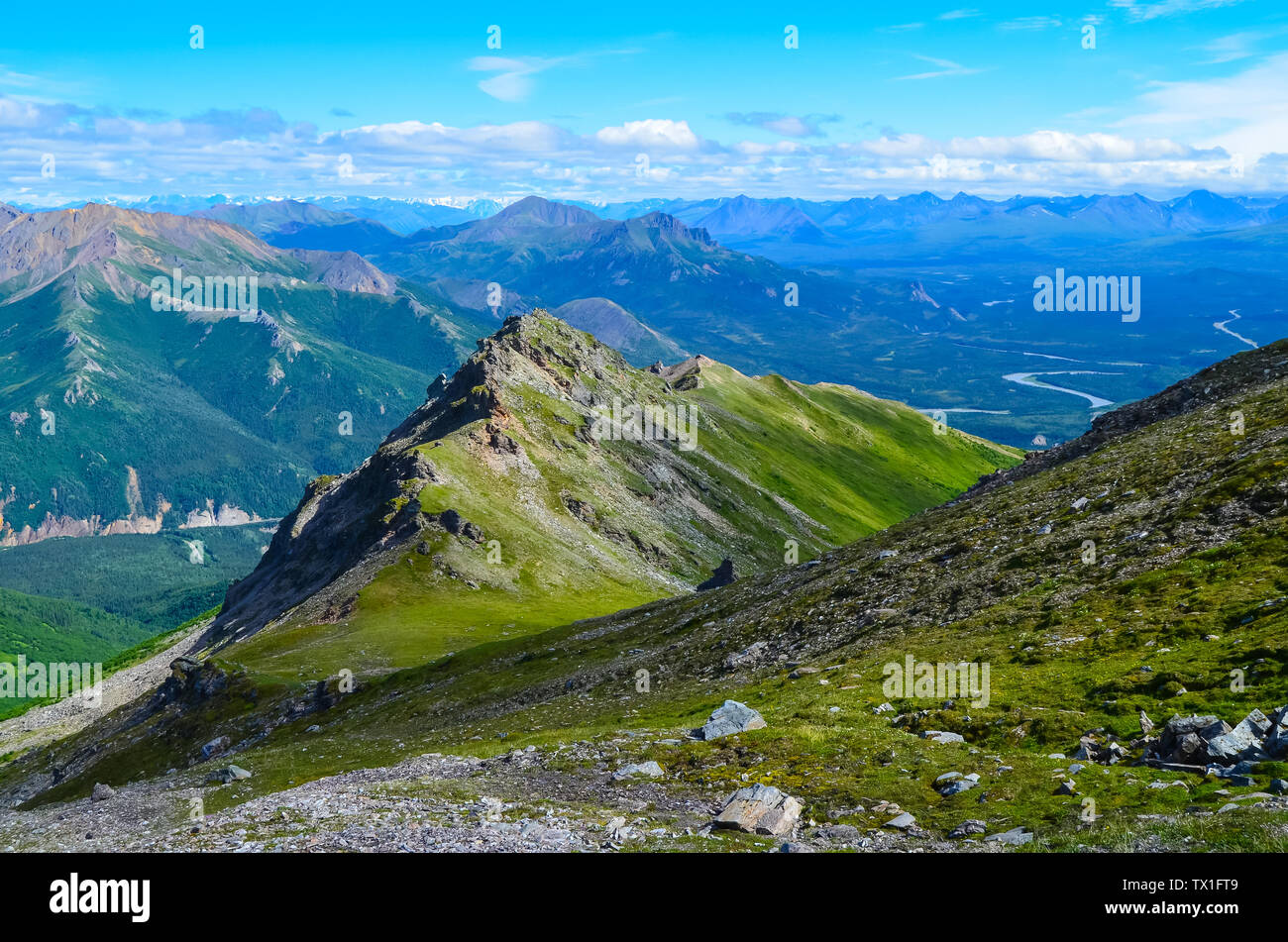 View of Nenana river valley from Mount Healy hike trail with blue sky ...