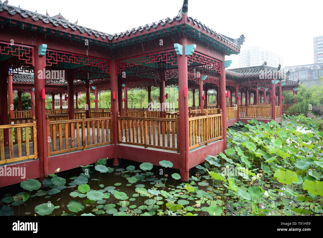 Antique architecture and lotus pavilion lotus Stock Photo - Alamy