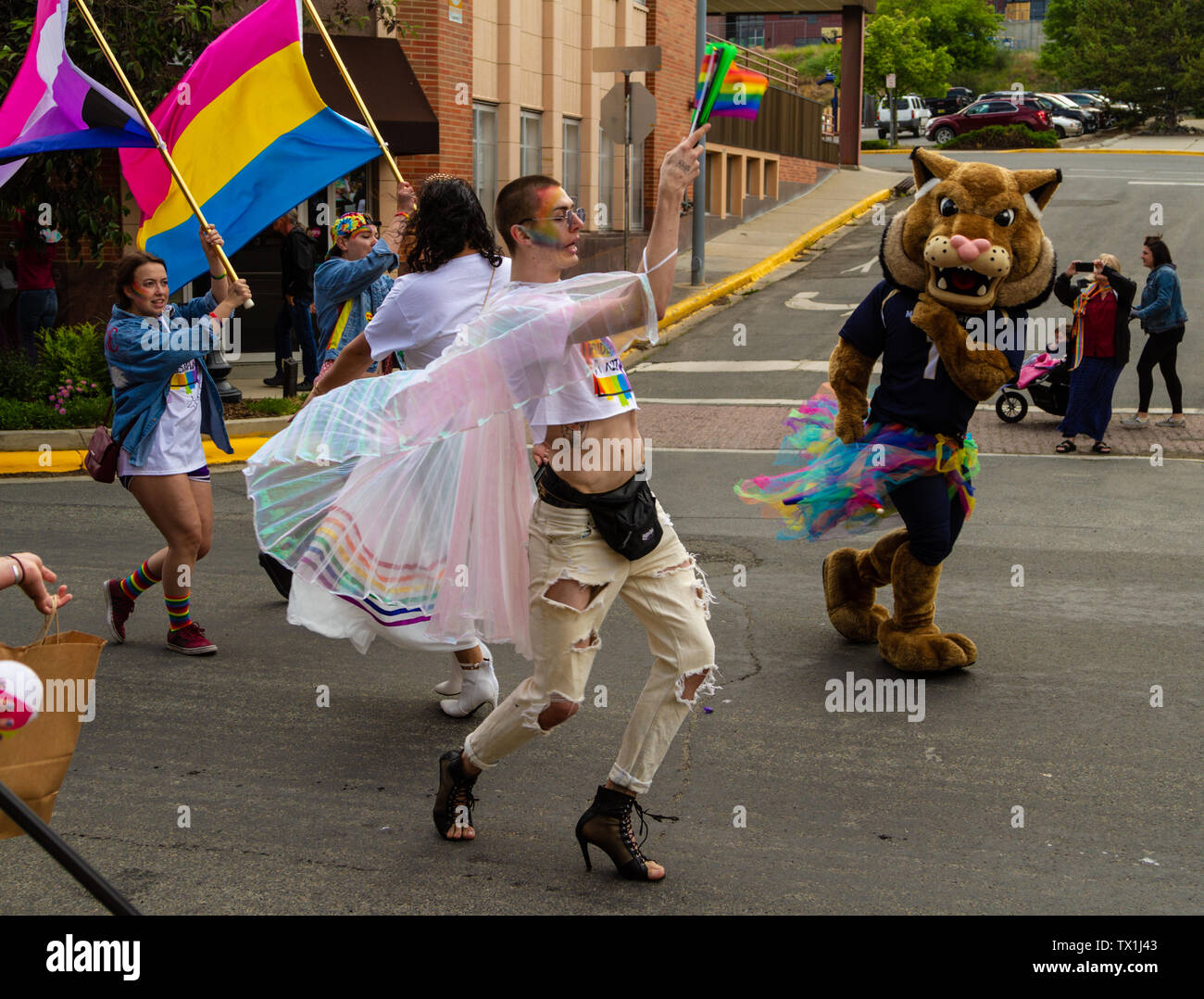 Proudly and enthusiastically dancing alongside the Montana State ...