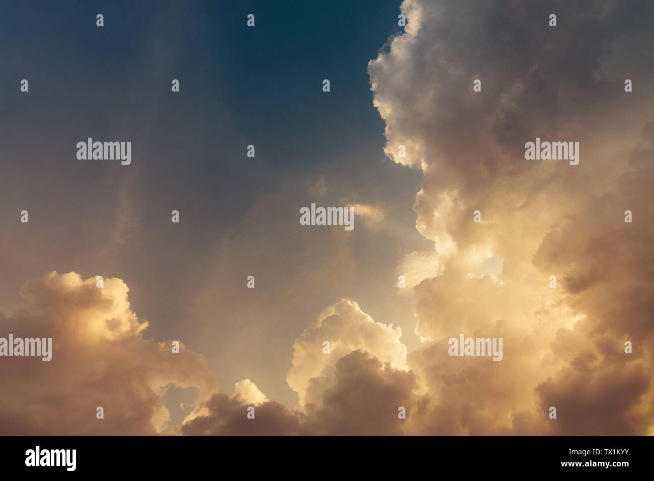 Yellow saturated cumulus clouds at sunset and blue sky, copy space ...