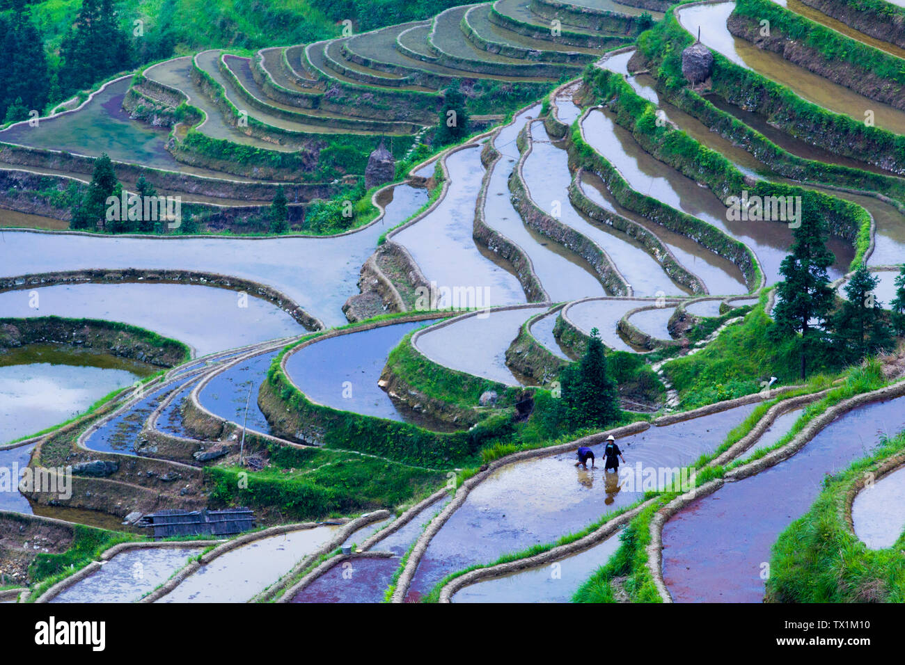 Terrace spring ploughing Stock Photo - Alamy