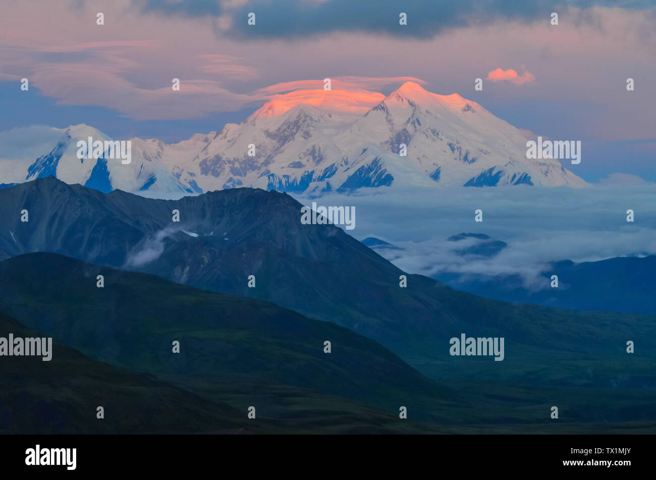 Sunrise view of Mount Denali (mt Mckinley) peak with red alpenglow from ...