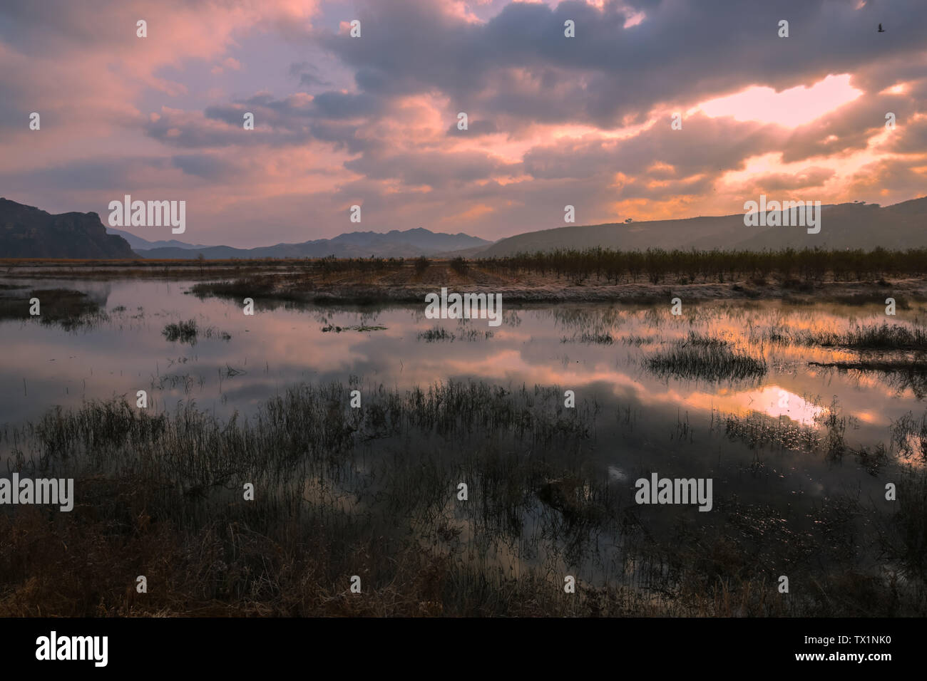 River wetlands sunset water reflection scenery Stock Photo - Alamy