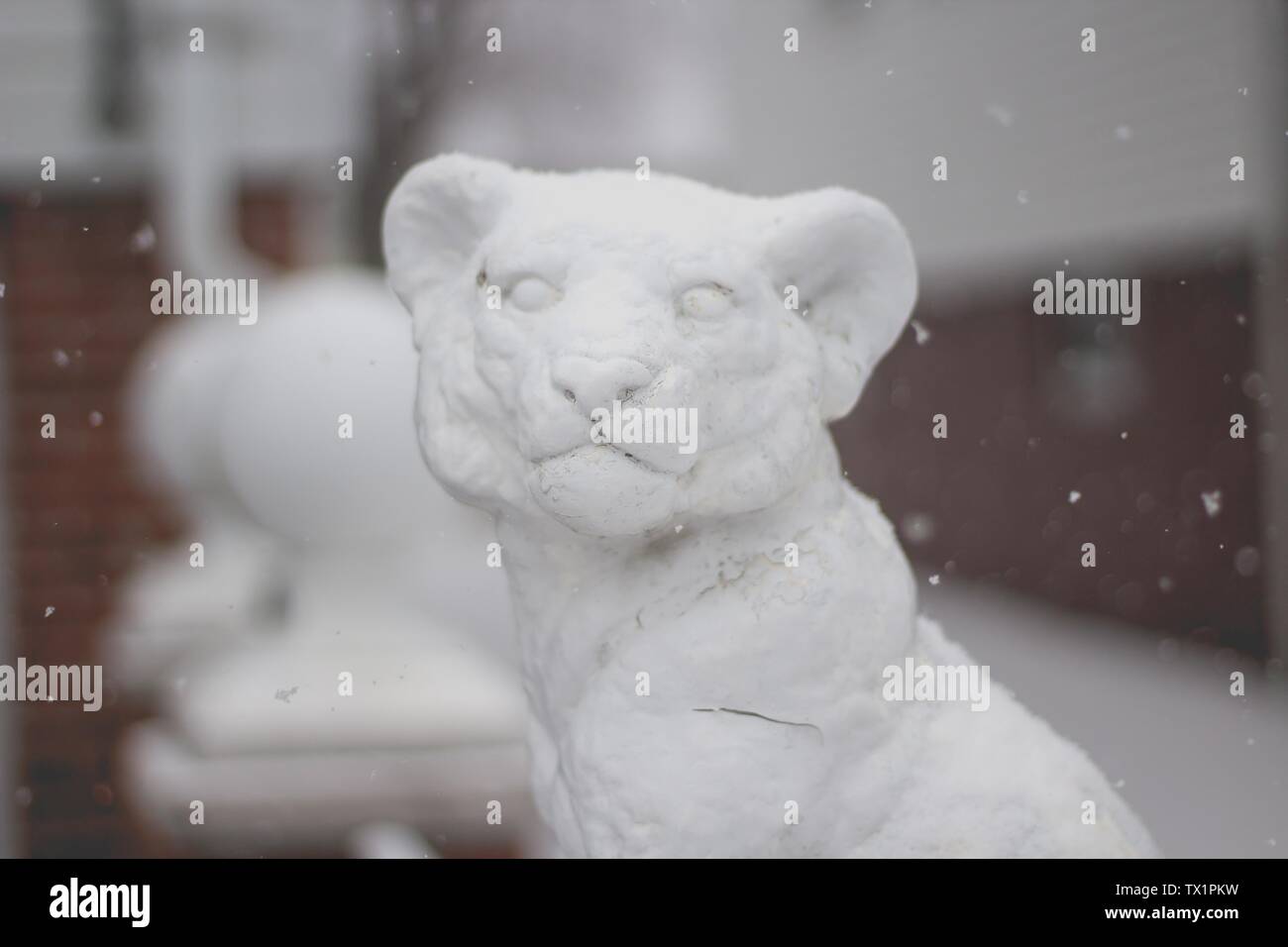 Cartoon snow leopard hi-res stock photography and images - Alamy