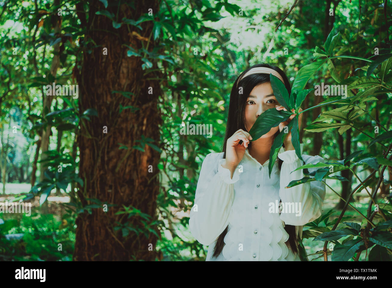 Botanical garden portrait Stock Photo - Alamy
