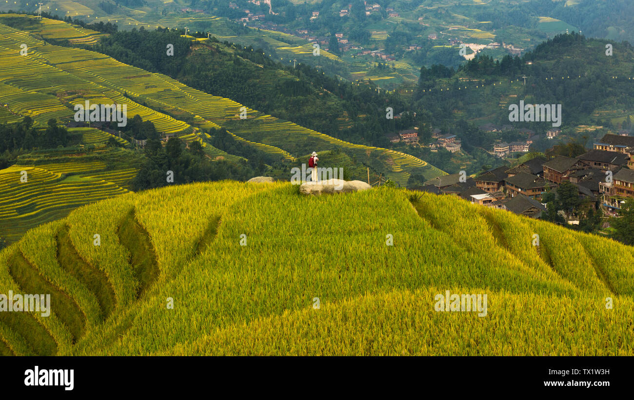 Henan province rural hi-res stock photography and images - Alamy