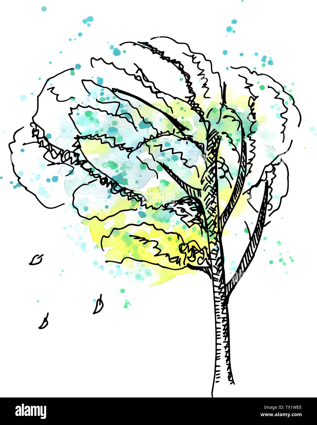 A vector, ink and watercolor drawing of an autumn tree in the wind on a ...