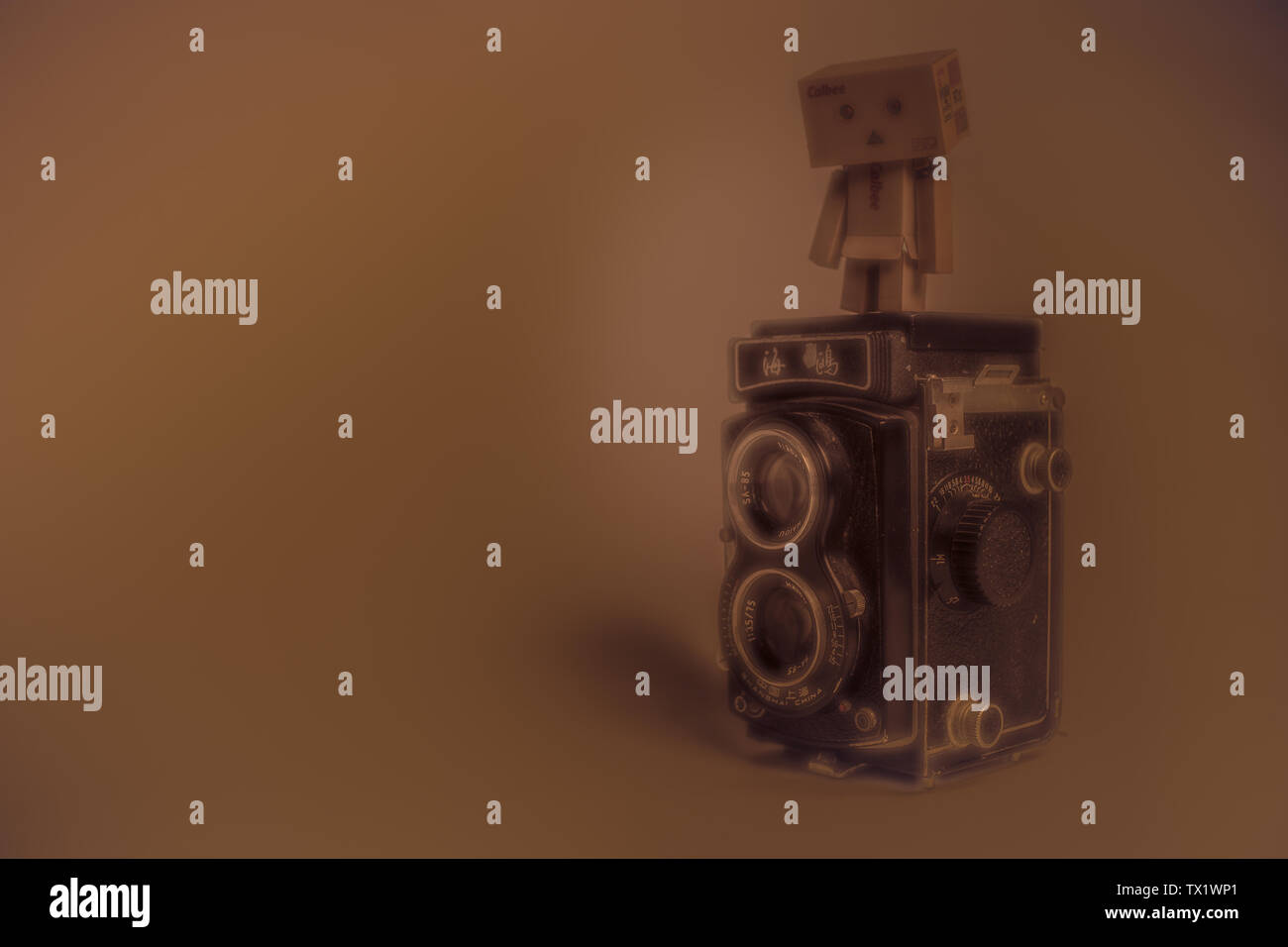 Mould and still life light light daylight concept of dusk wooden head ...