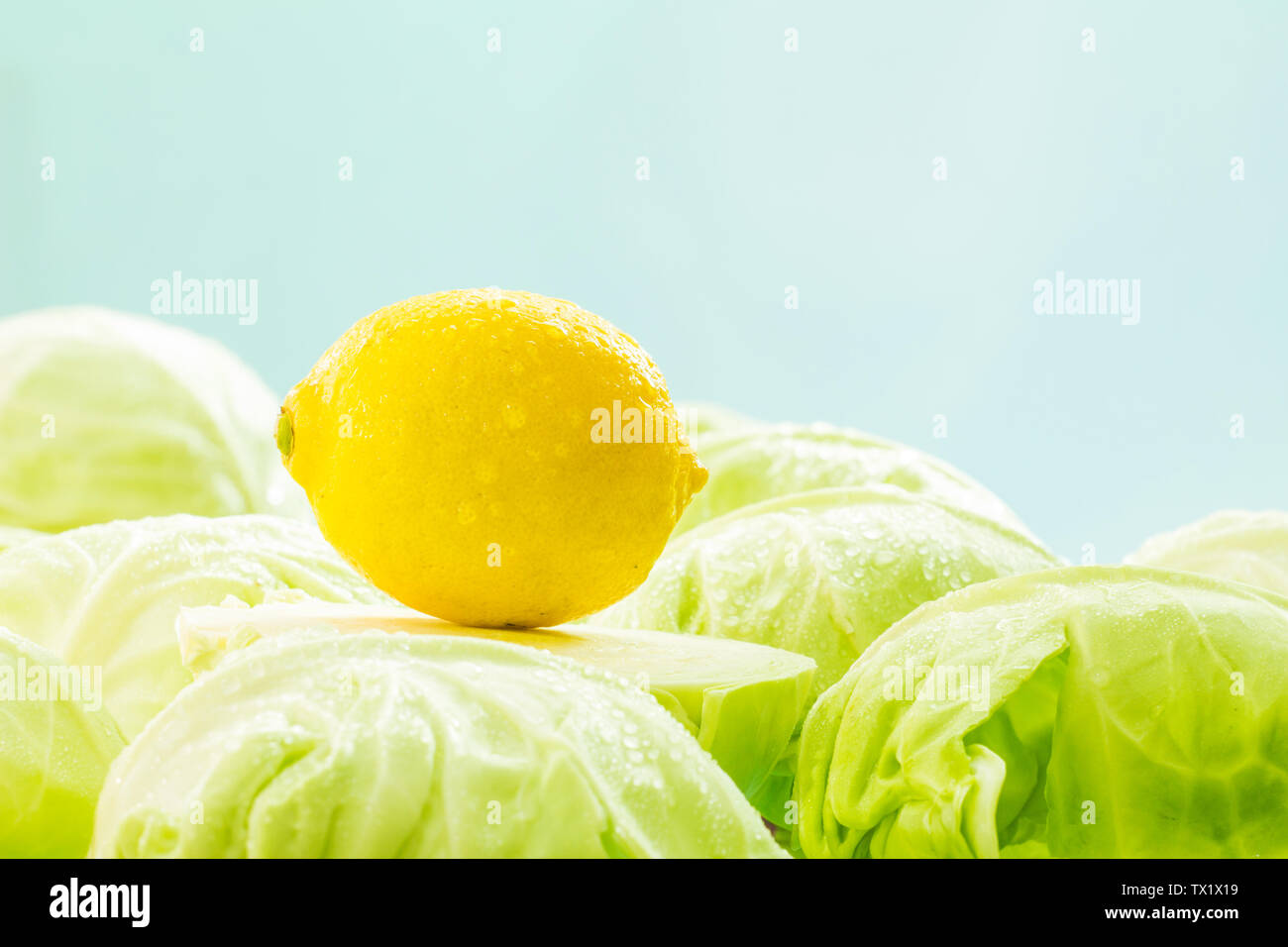 Broccolaceae hi-res stock photography and images - Alamy