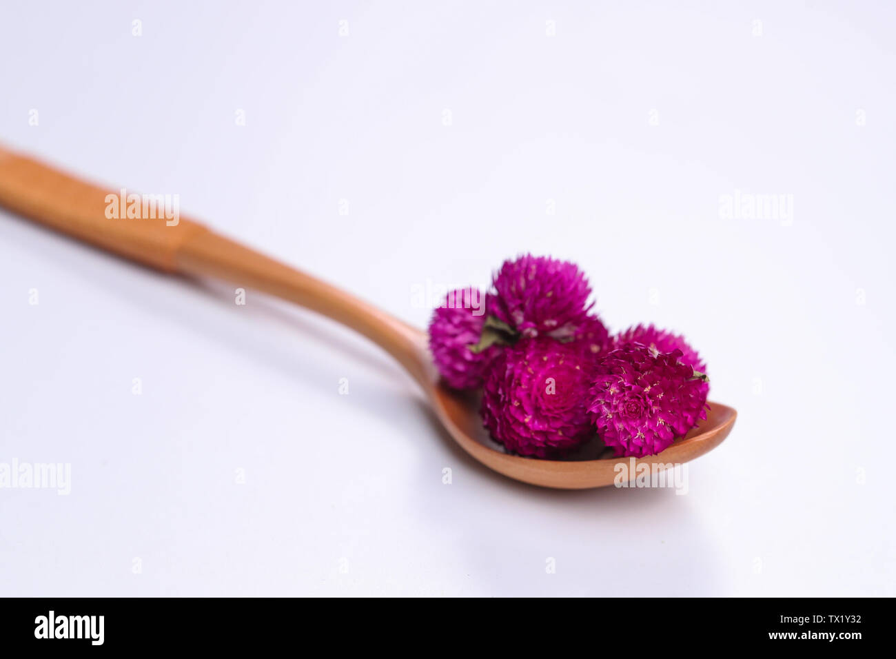 Thousand-day red flower tea Stock Photo - Alamy