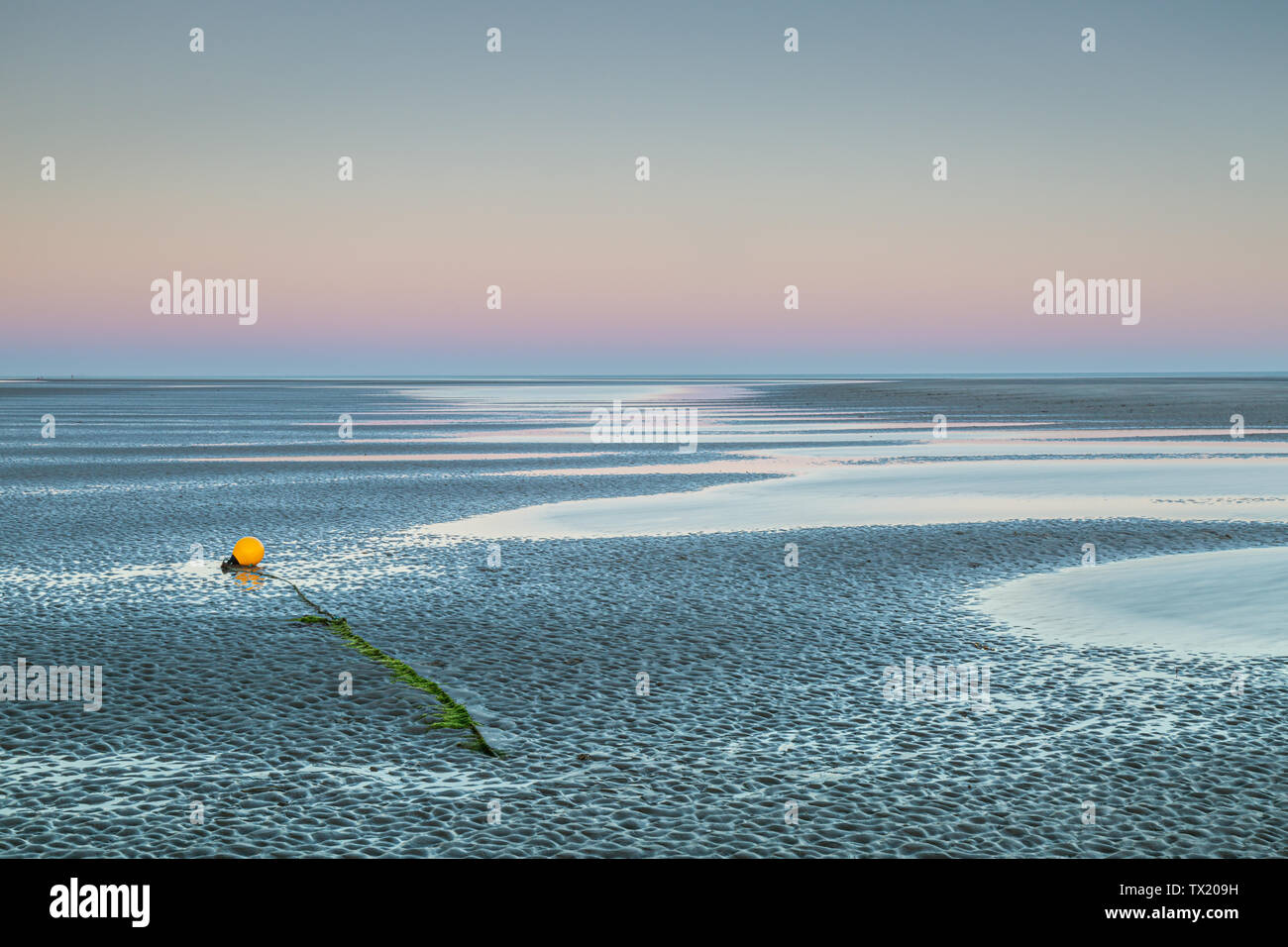 Yellow buoy attached to a green slimey rope at low tide on West ...