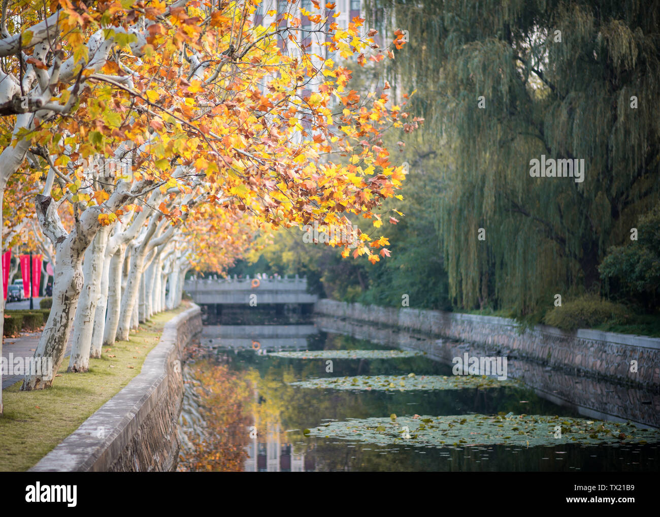 Central North Campus of East China Normal University Stock Photo - Alamy