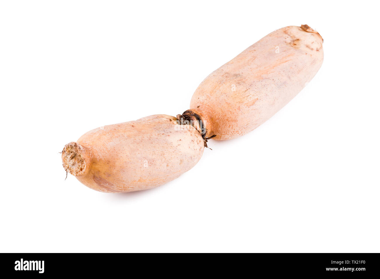Fresh lotus root on white background Stock Photo - Alamy