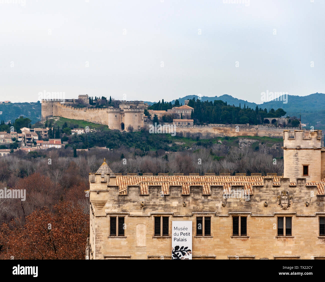Avignon, in the region of Provence, France. Historic fortified city ...