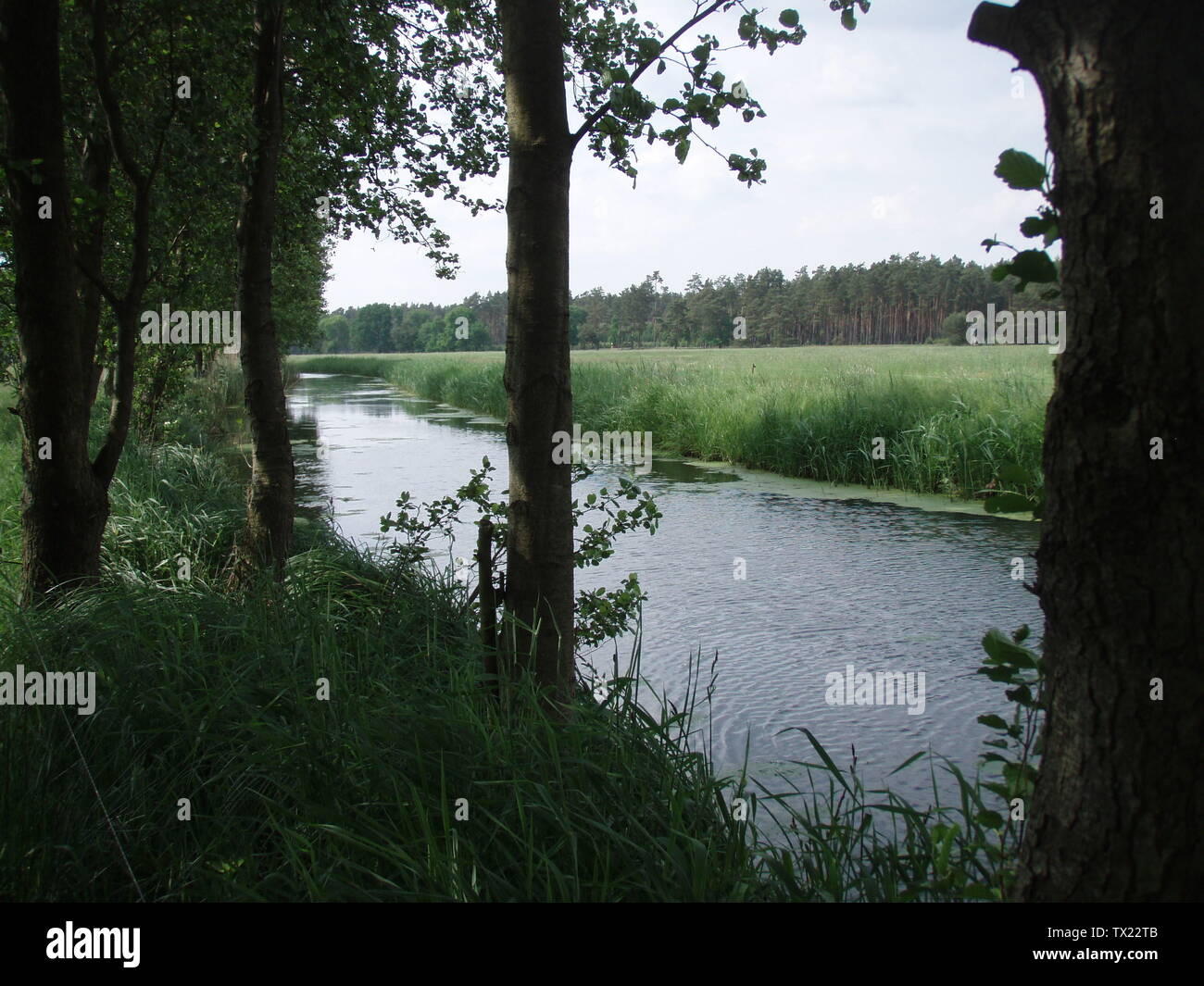 Krinitz hi-res stock photography and images - Alamy